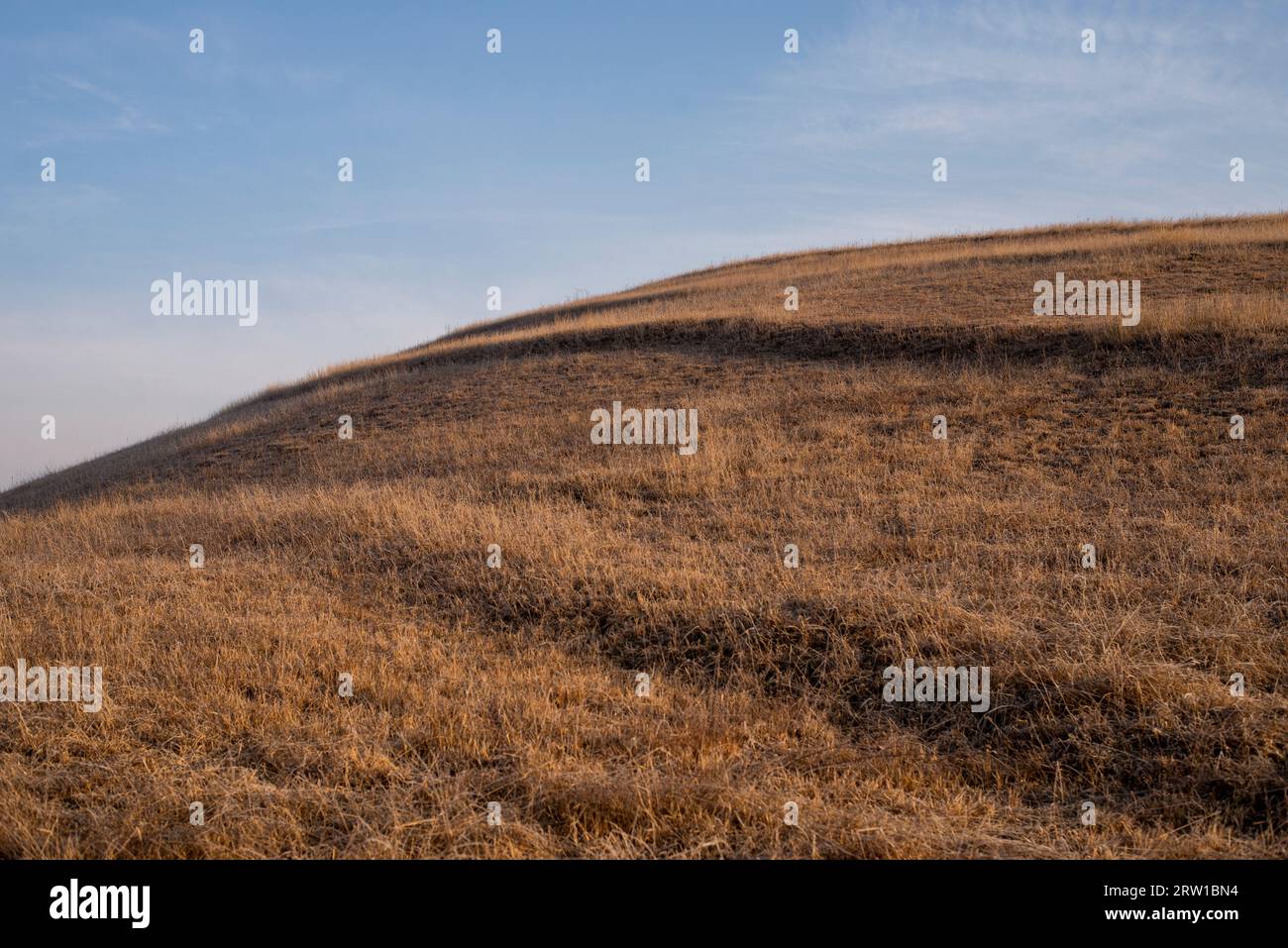 Grass on the hill hi-res stock photography and images - Alamy