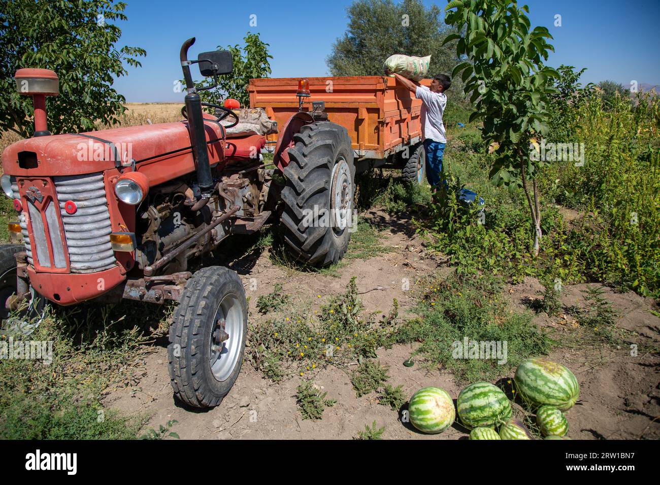 Farmer tractor field turkey hi-res stock photography and images - Alamy