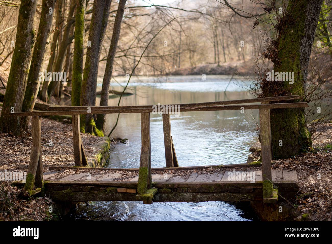 Forest wooden bridge hi-res stock photography and images - Alamy
