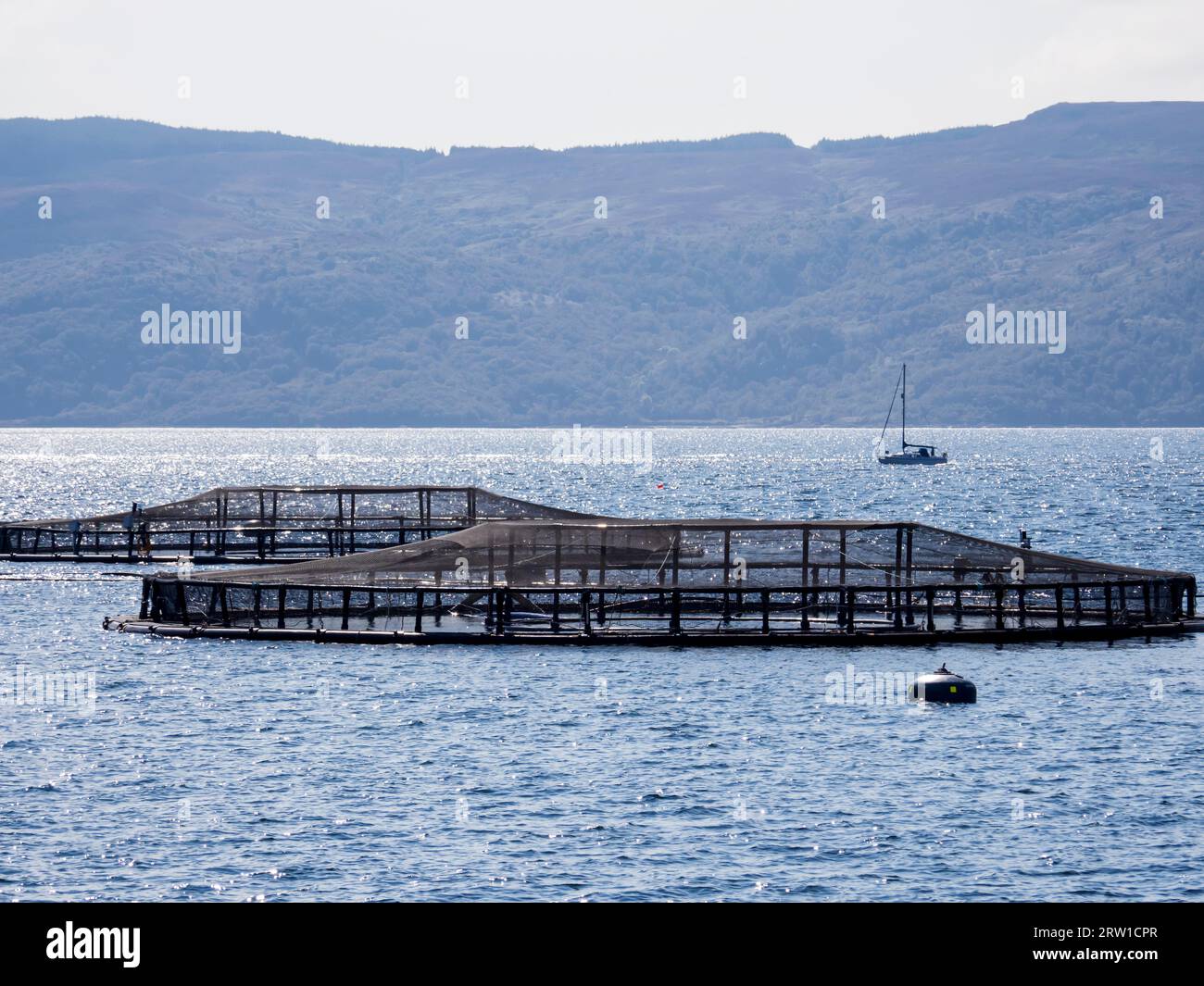 Fish farms off Portavadie on Scotlands West Coast, UK Stock Photo - Alamy