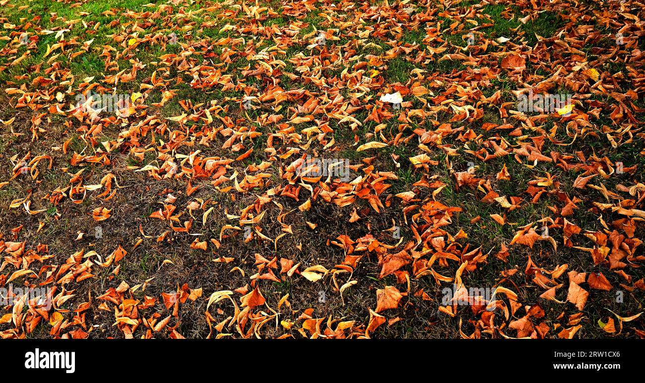 Autumn winter 2023 hi-res stock photography and images - Alamy