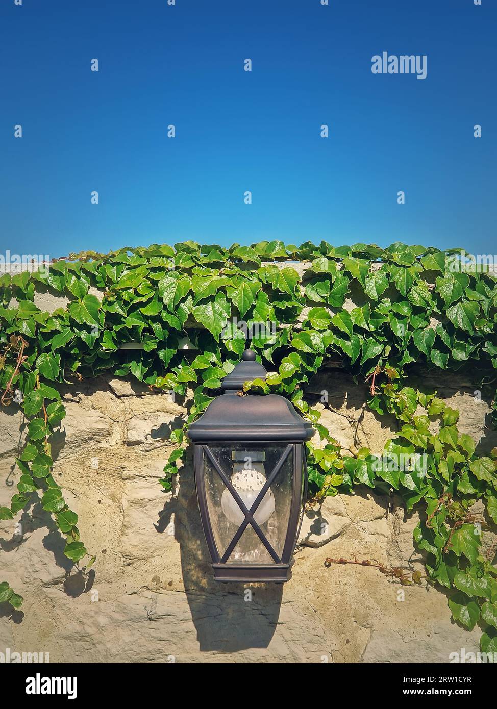 Vintage street lamp hang on an old stone masonry hedge overgrown with ...