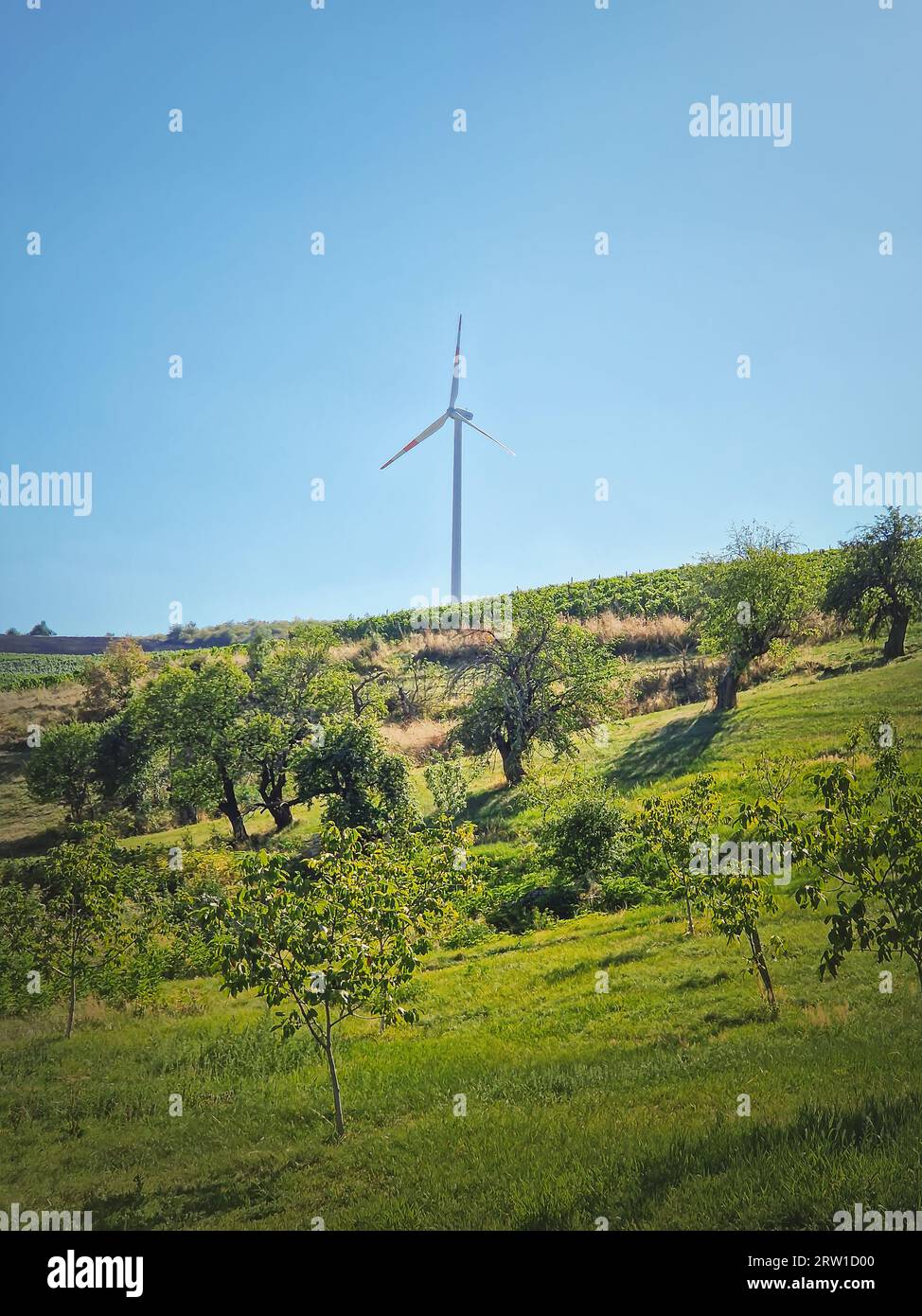 Wind turbine on the top of a hill over the country valley with vineyard ...