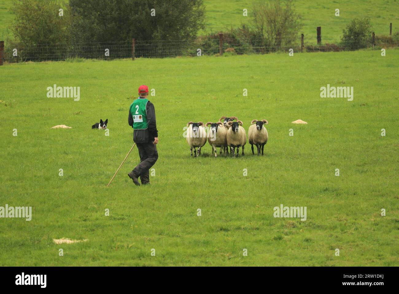 Joren de bruycker hi-res stock photography and images - Alamy