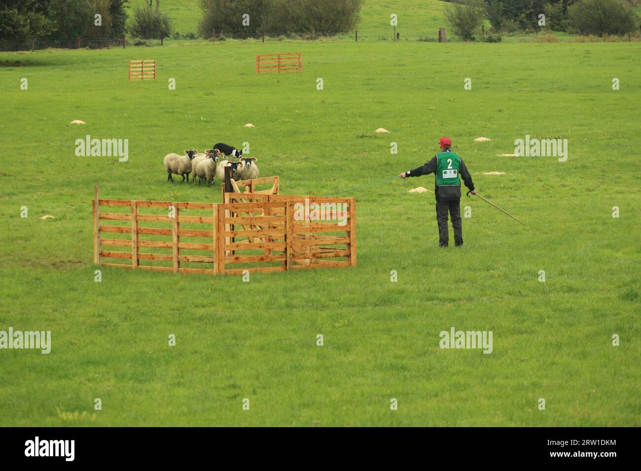 Joren De Bruycker and dog Jen compete in Young Handlers Competition ...