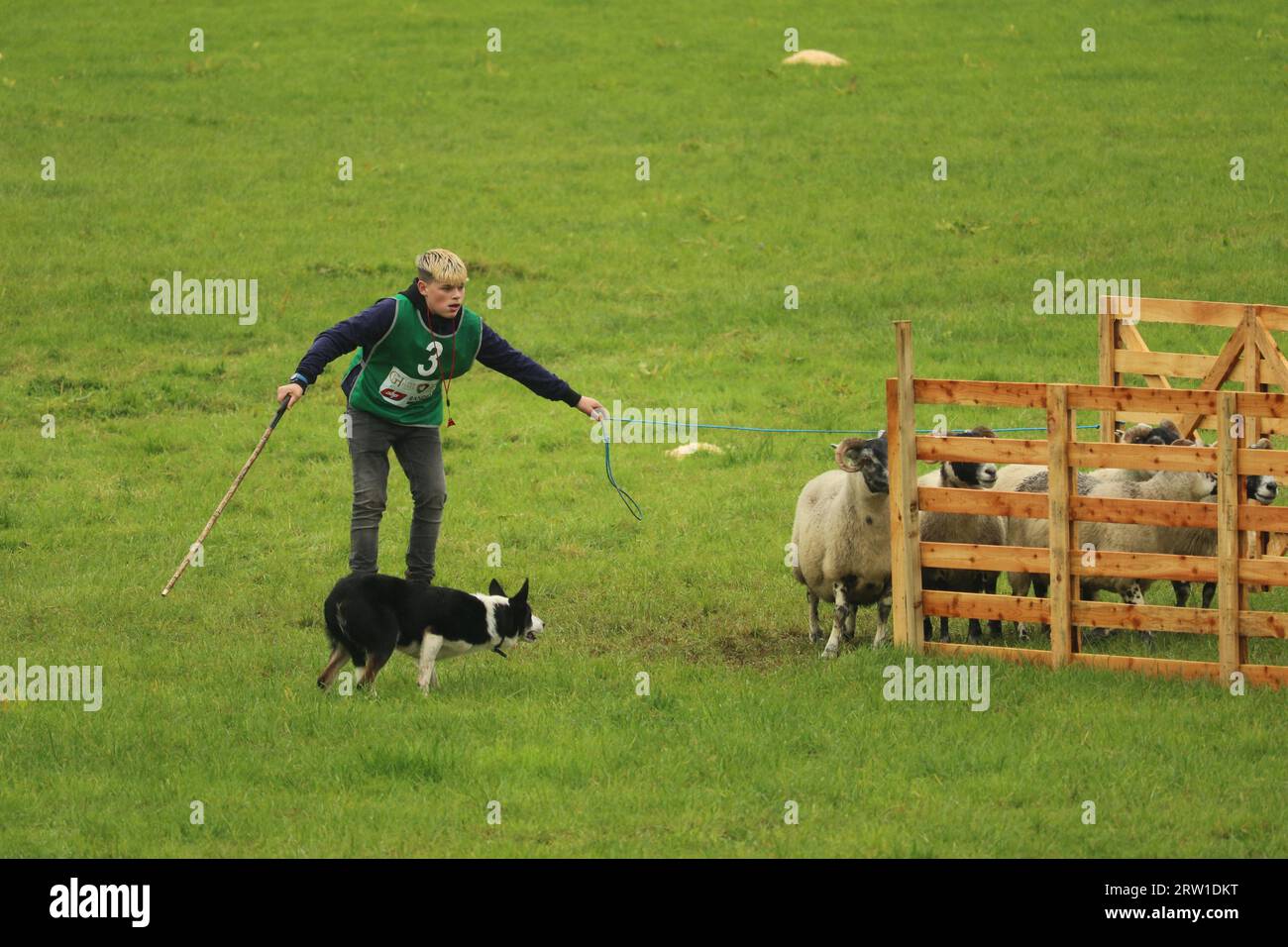 Charlie dumbleton hi-res stock photography and images - Alamy