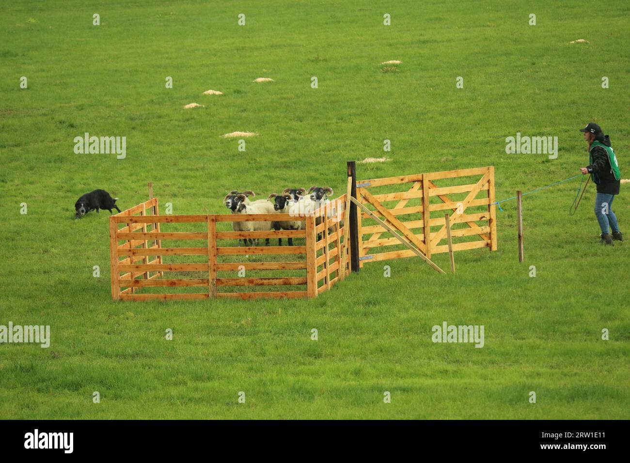 Manon fin hi-res stock photography and images - Alamy