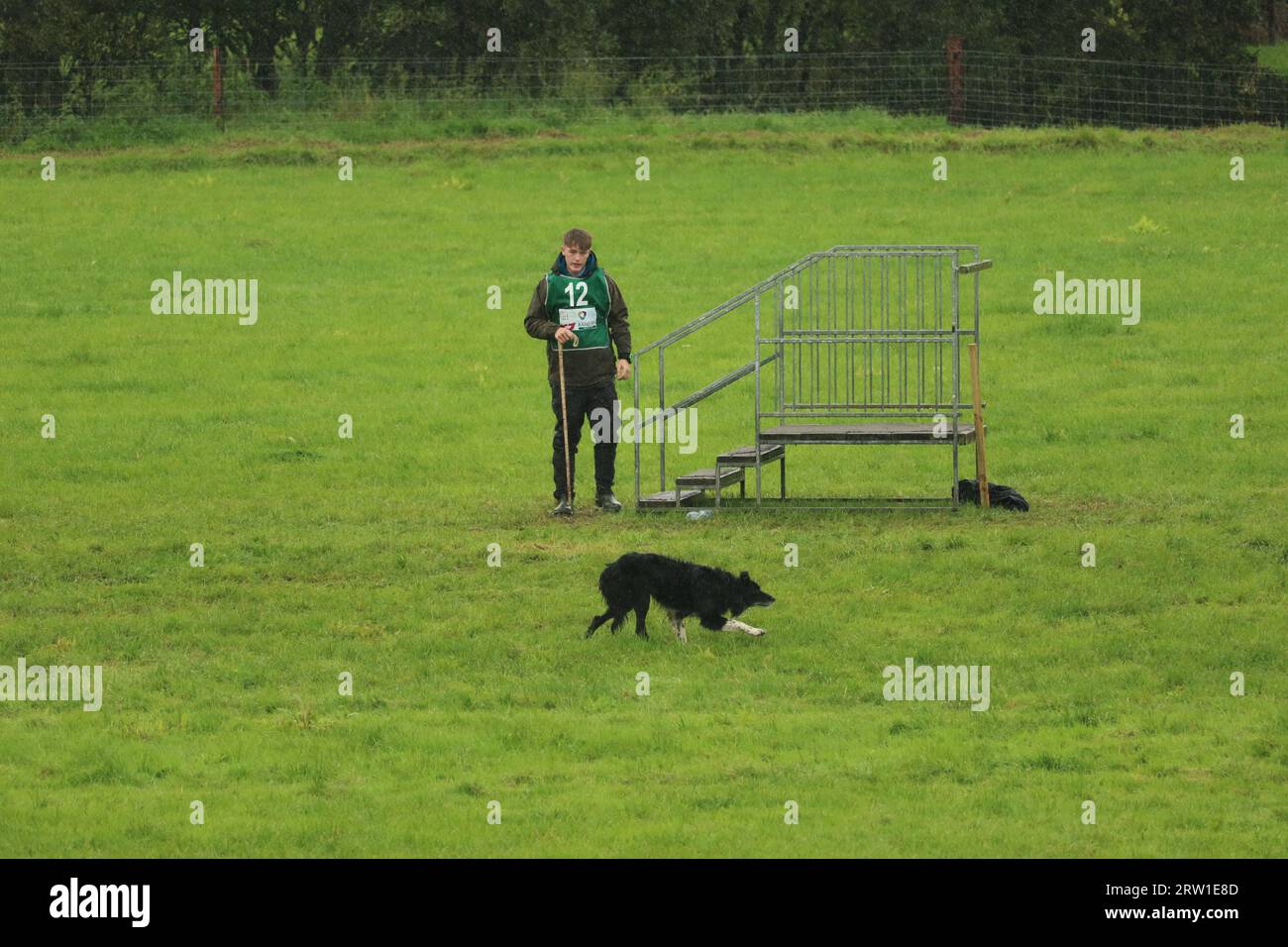 Peter Og Morgan and dog Tip compete at the World Sheepdog Trials Young ...