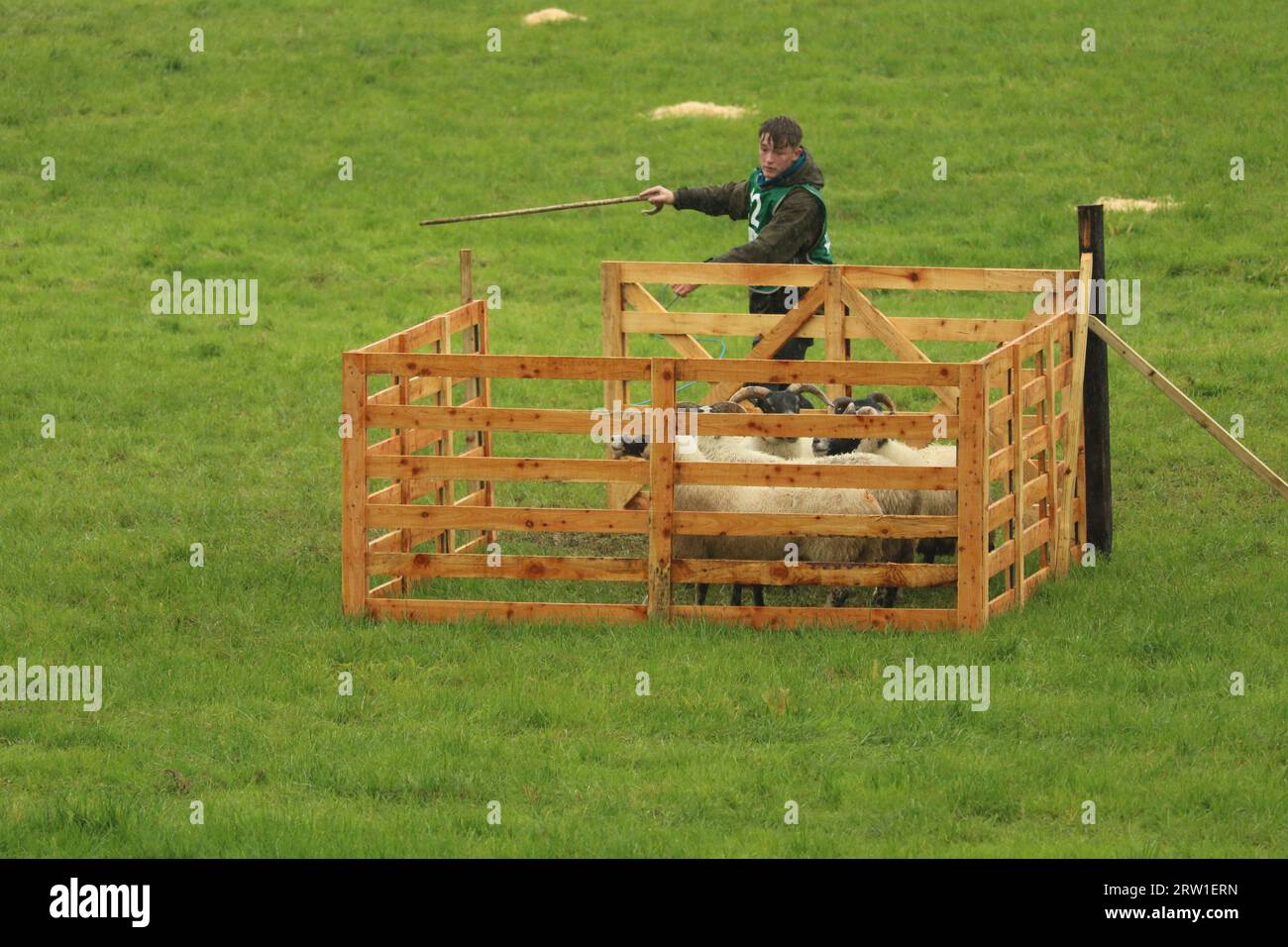 Peter og morgan hi-res stock photography and images - Alamy