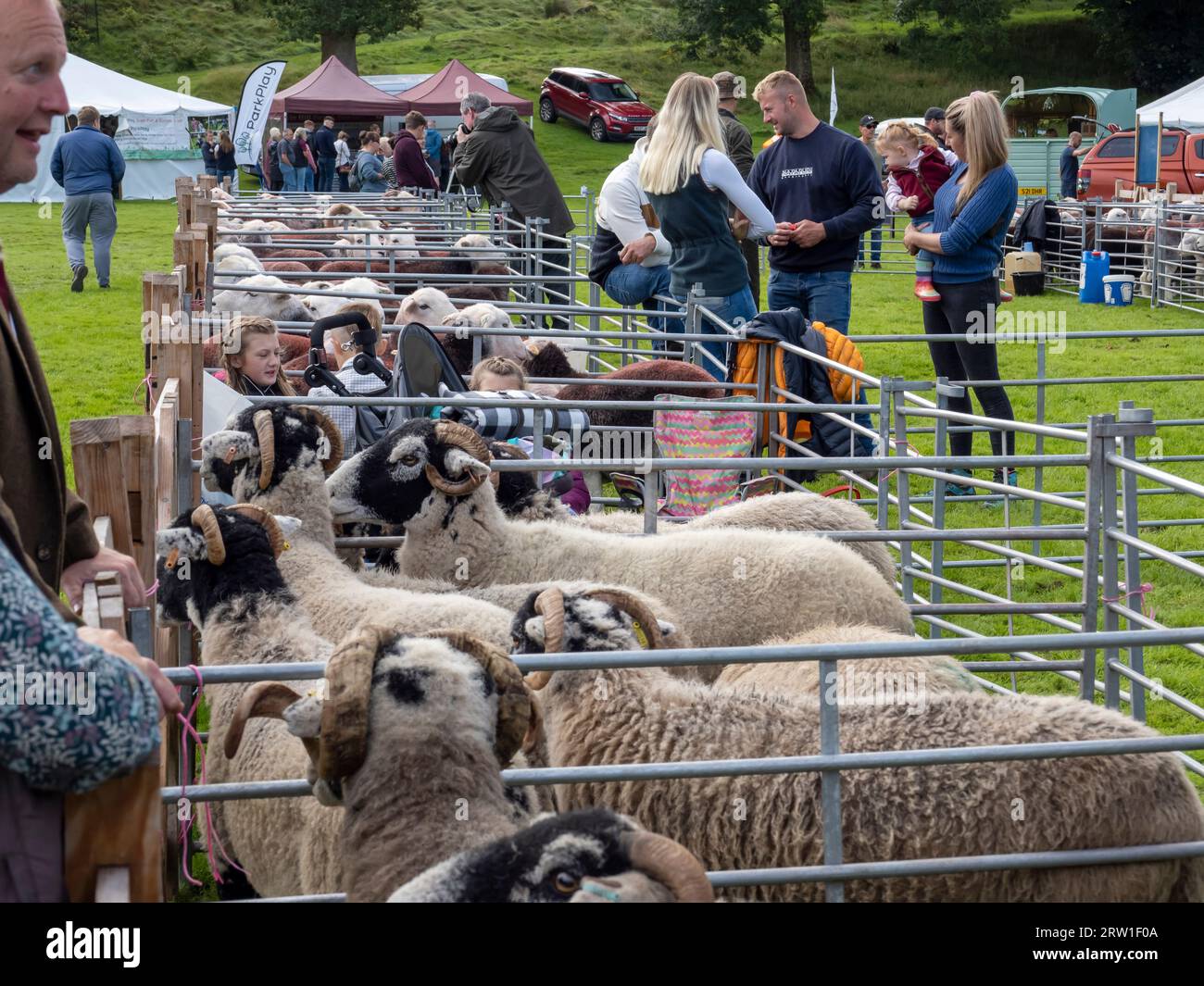 Sheep being displayed at the Broughton in Furness annual agricultural ...