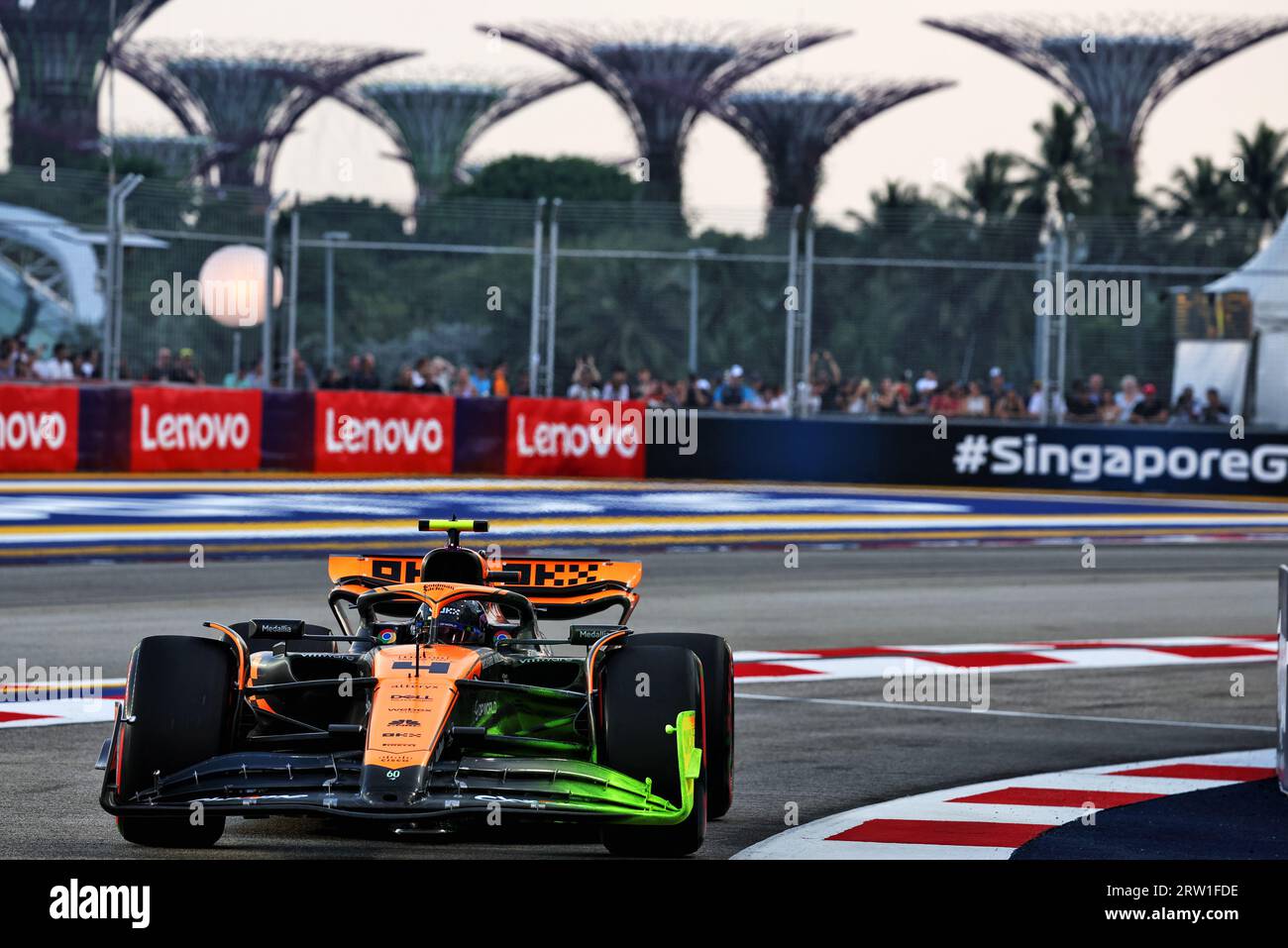 Vis marina hi-res stock photography and images - Alamy