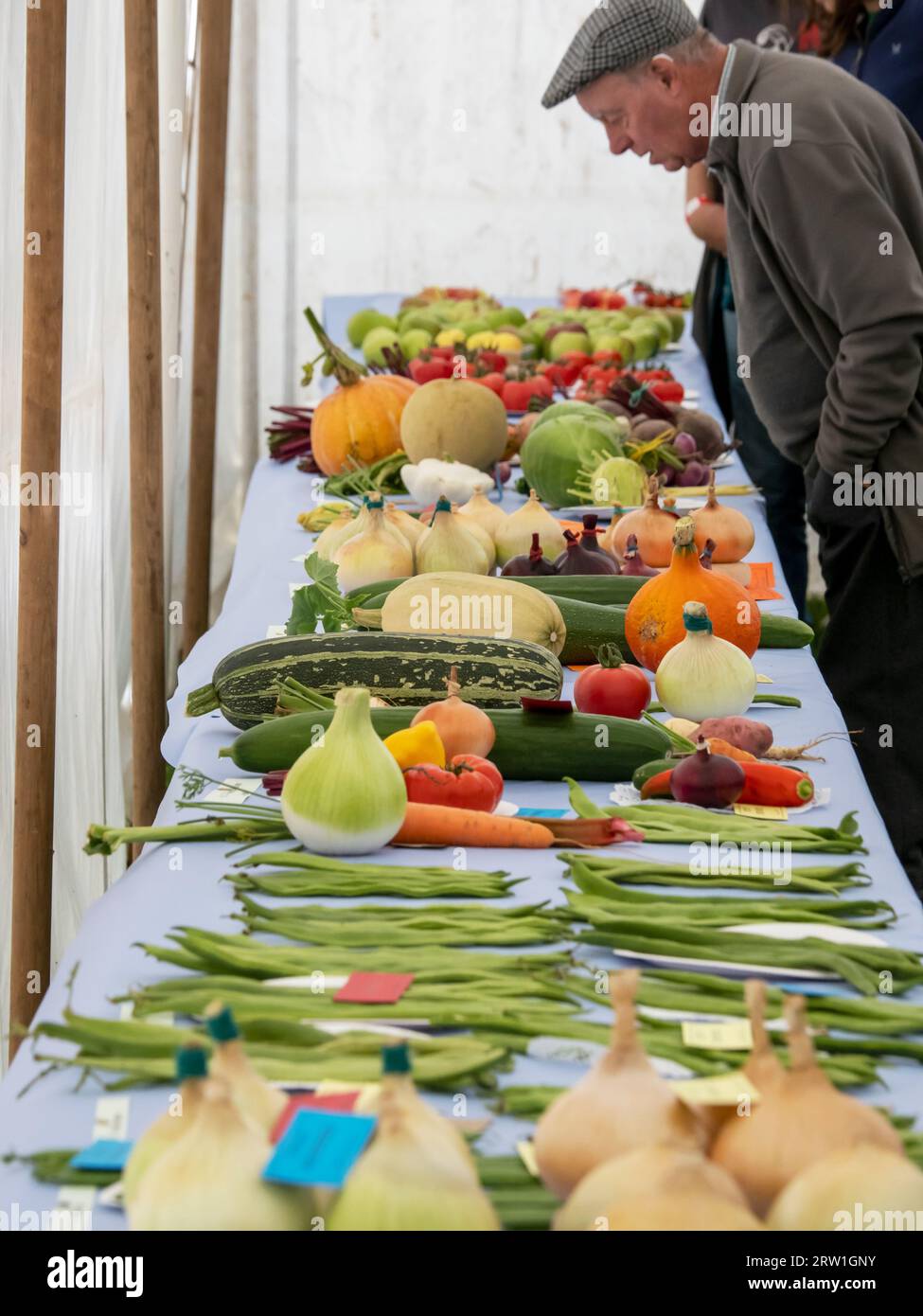 A home grown vegetable competition at the Broughton in Furness anual ...