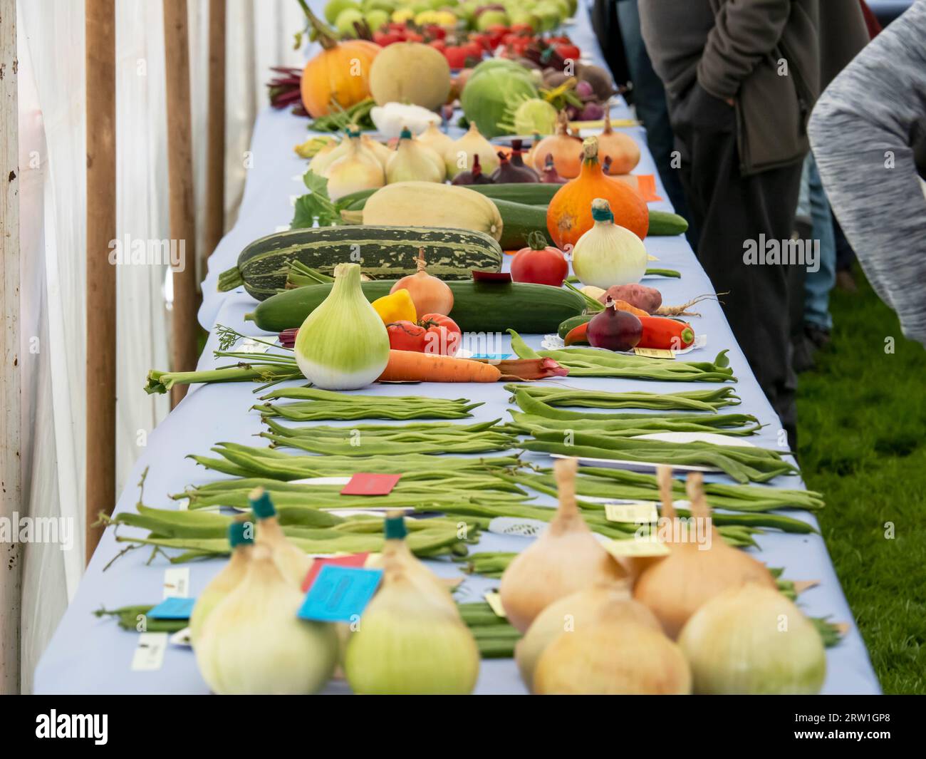 A home grown vegetable competition at the Broughton in Furness anual ...