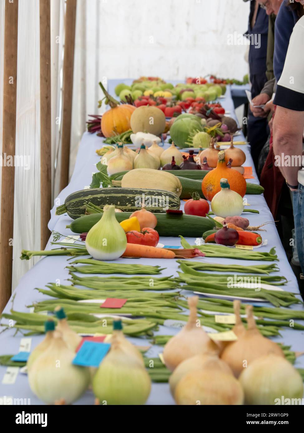 A home grown vegetable competition at the Broughton in Furness anual ...