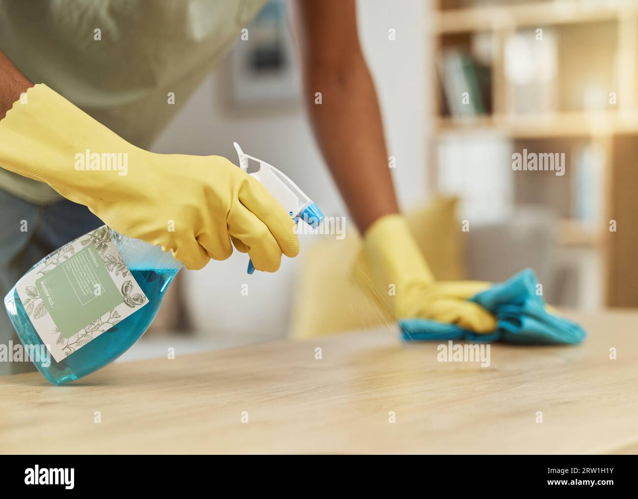 Hands, cleaner and chemical, cloth and table, disinfecting surface and ...