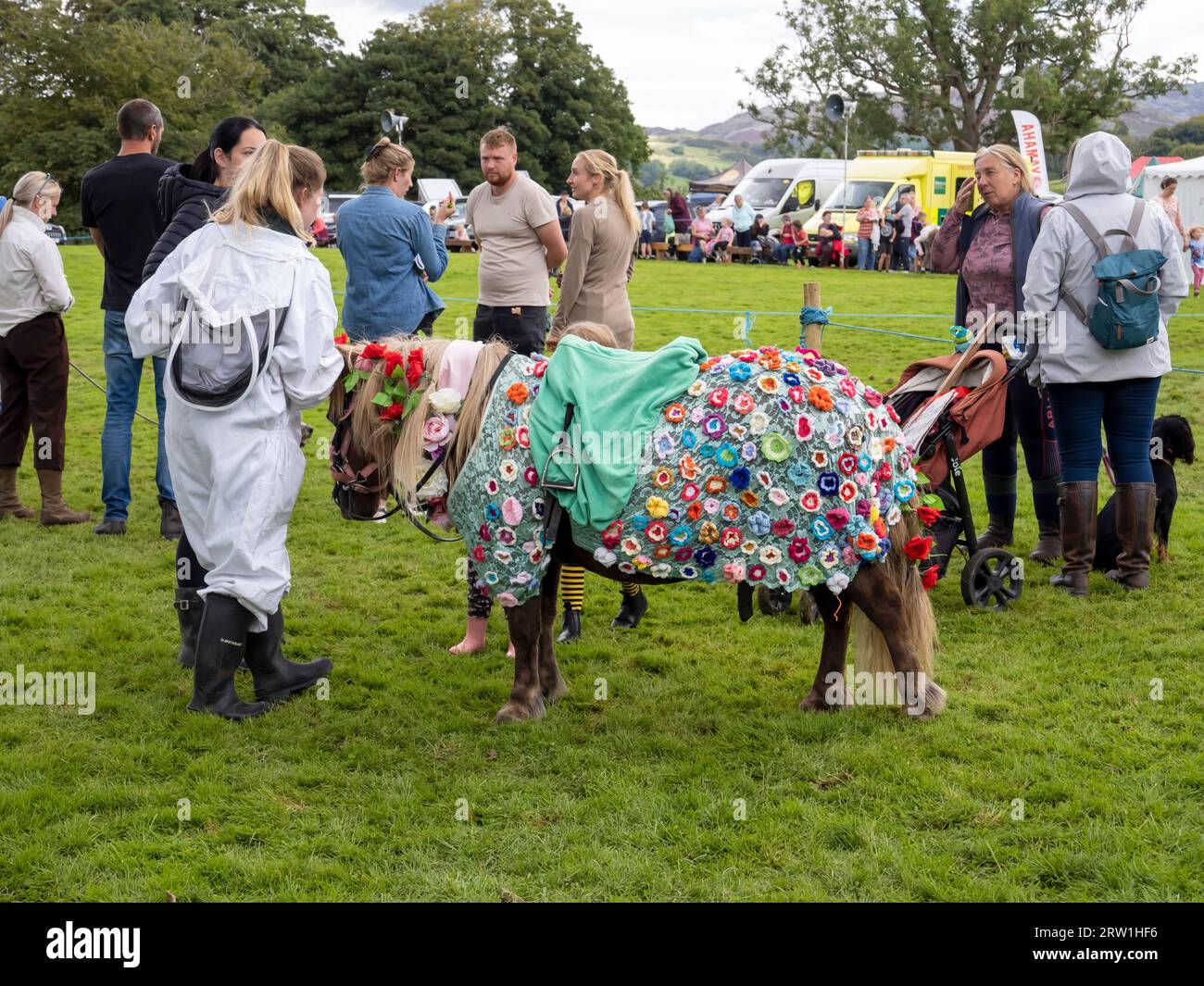 A horse with an arty blanket at the Broughton in Furness anual ...