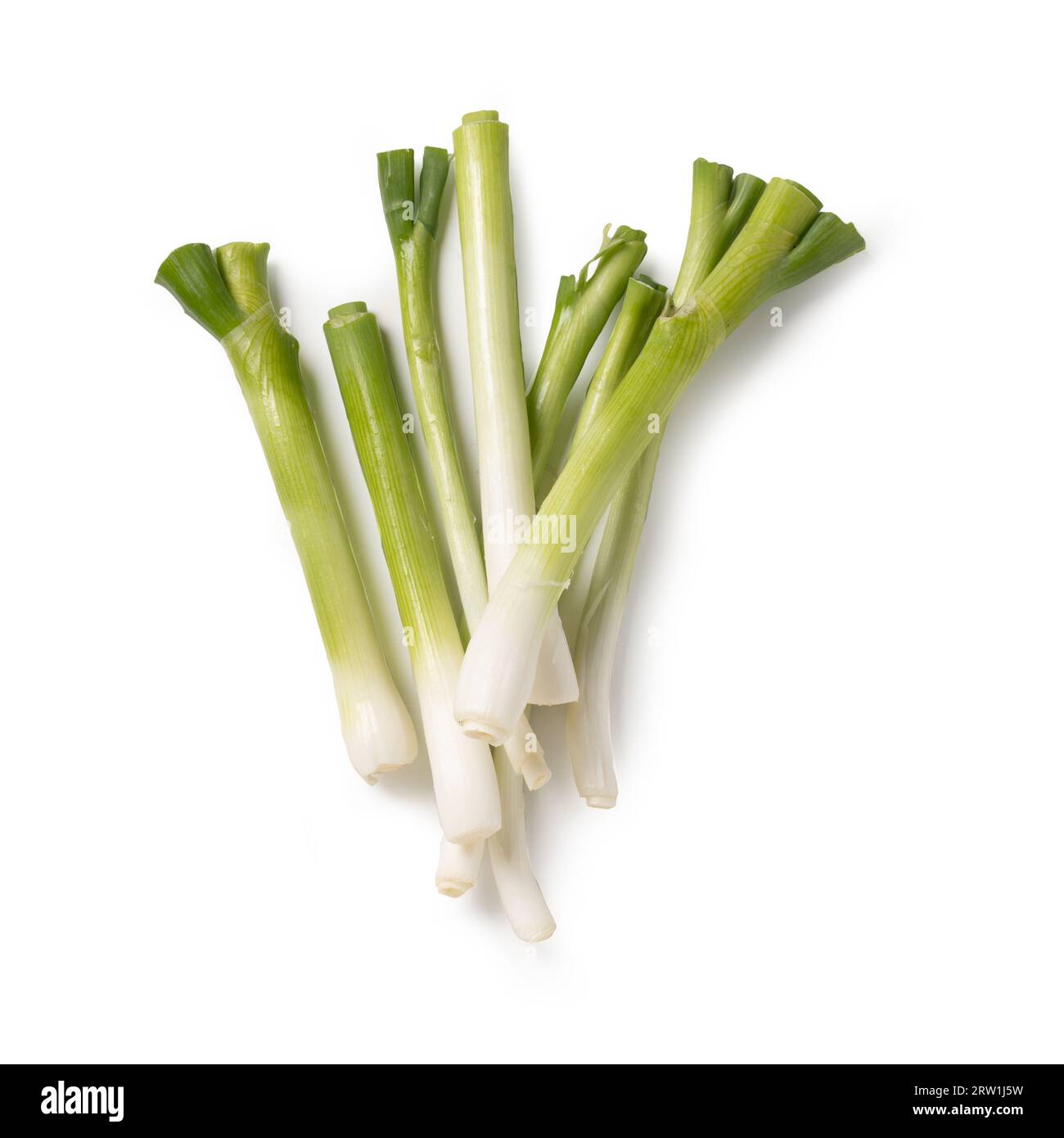 Italian organic spring onion hi-res stock photography and images - Alamy