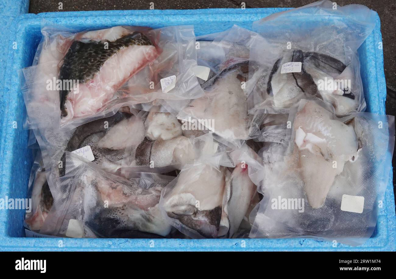 Packed fish hi-res stock photography and images - Alamy