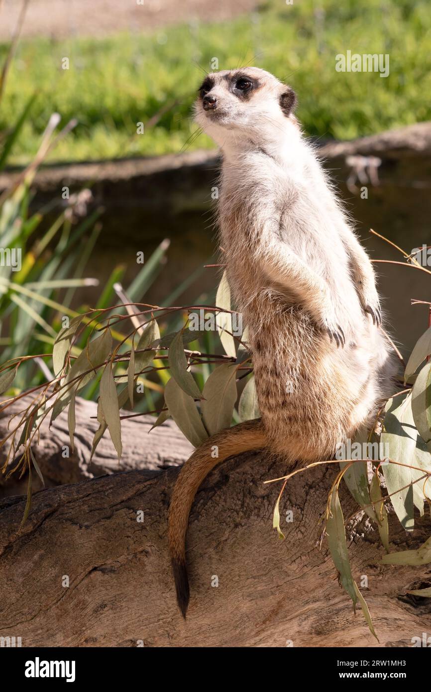 Position turns hi-res stock photography and images - Alamy