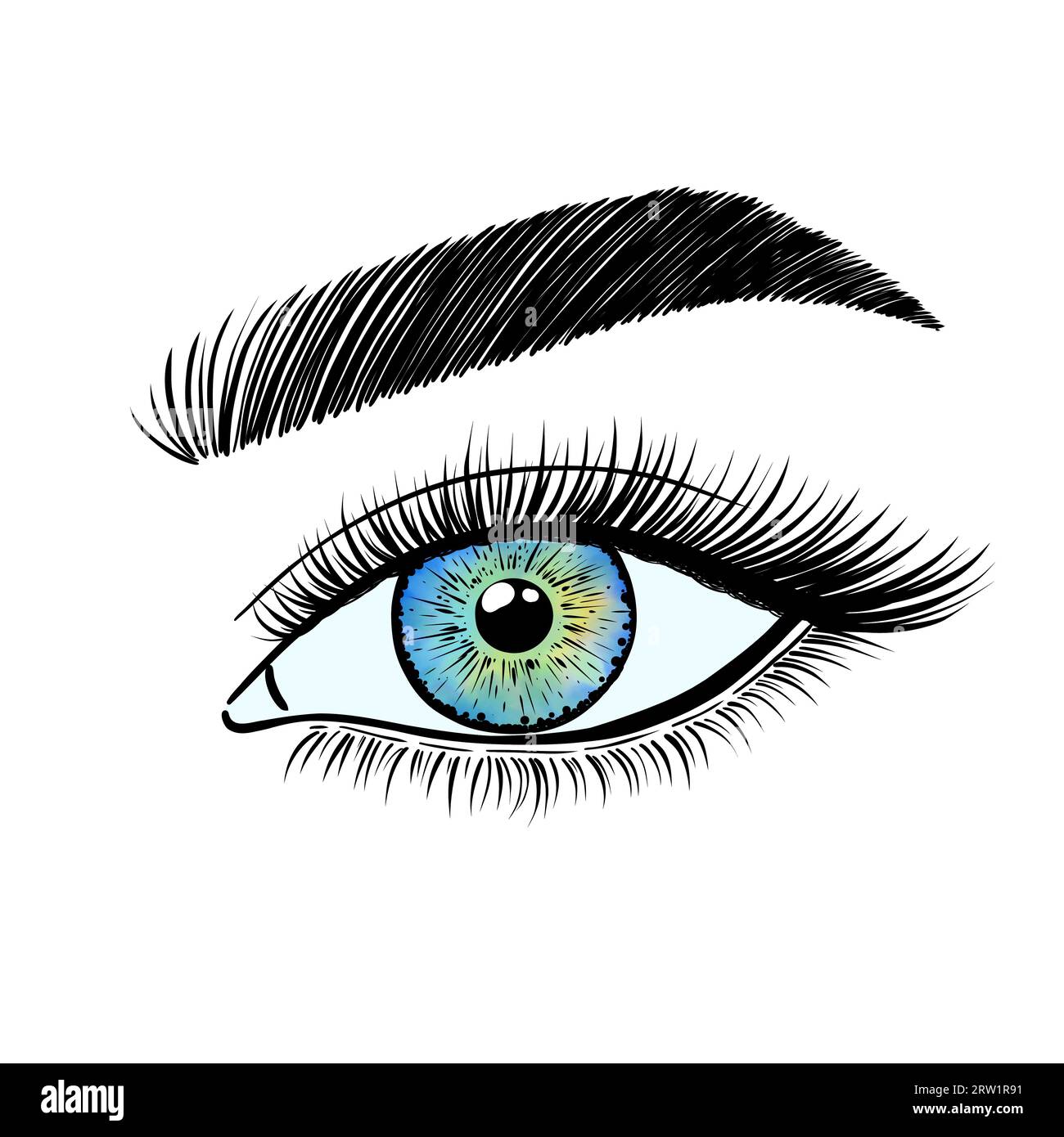 Female eyes in a linear style Stock Vector Image & Art - Alamy