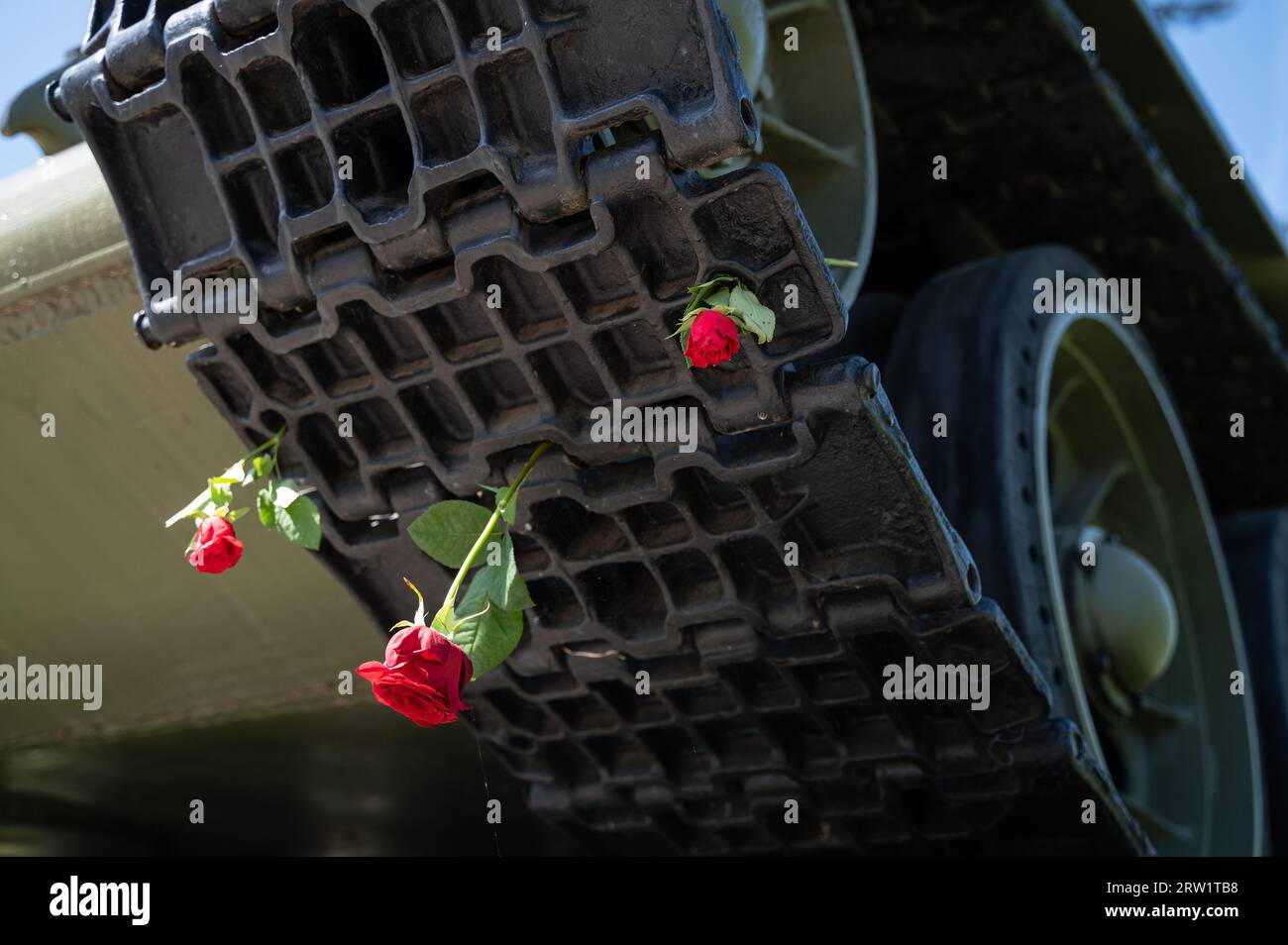 08.05.2022, Germany, Berlin, Berlin - Europe - Red roses are stuck in ...