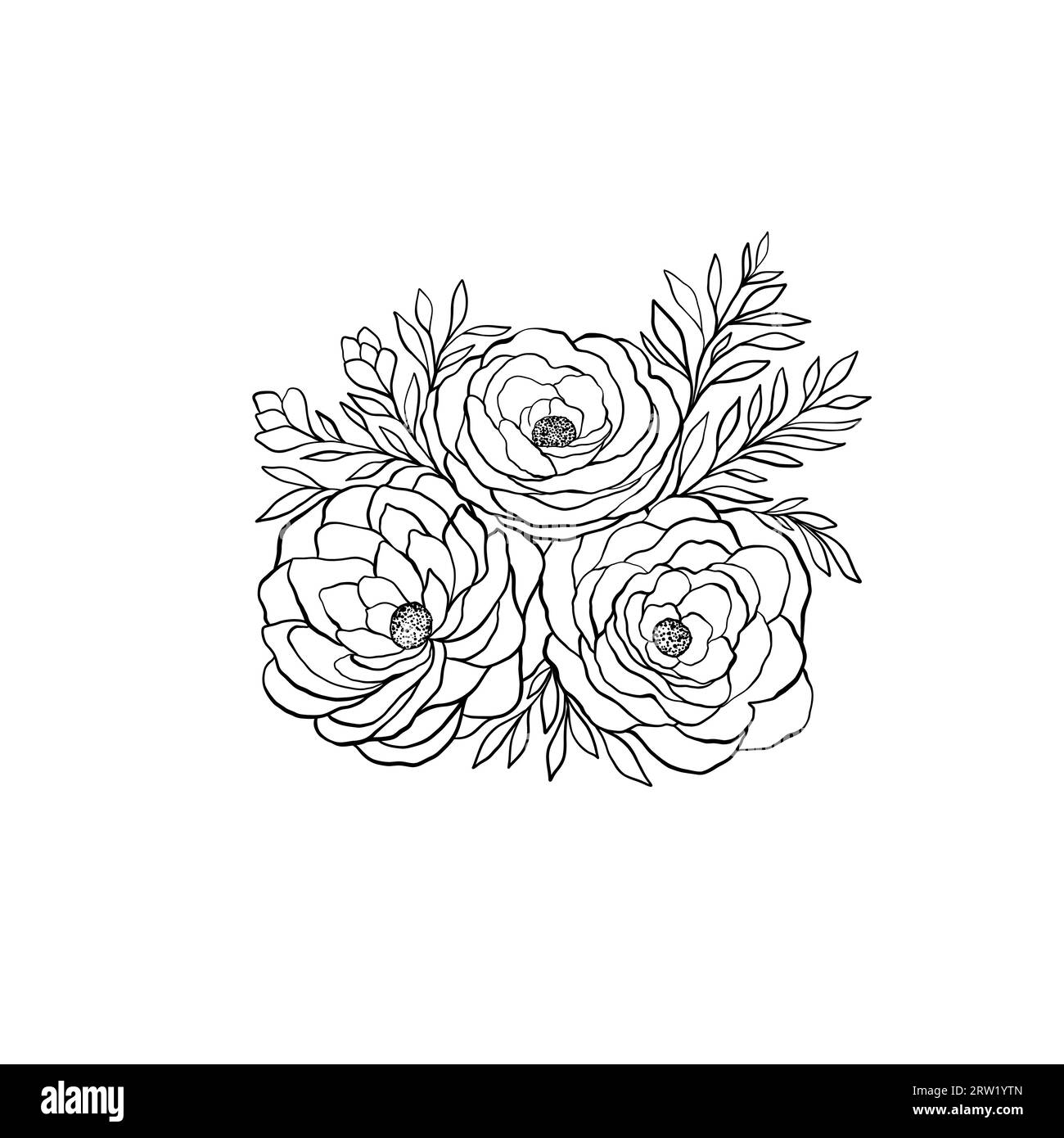 Floral arrangement in a linear style Stock Vector Image & Art - Alamy