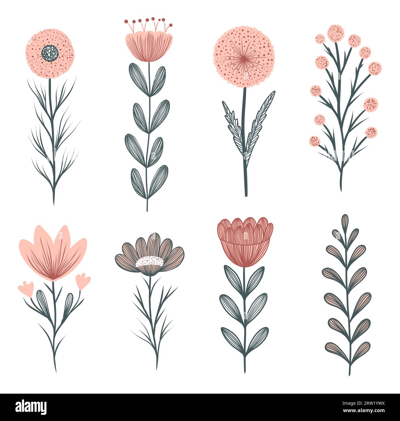 Collection of flowers in doodle style Stock Vector Image & Art - Alamy