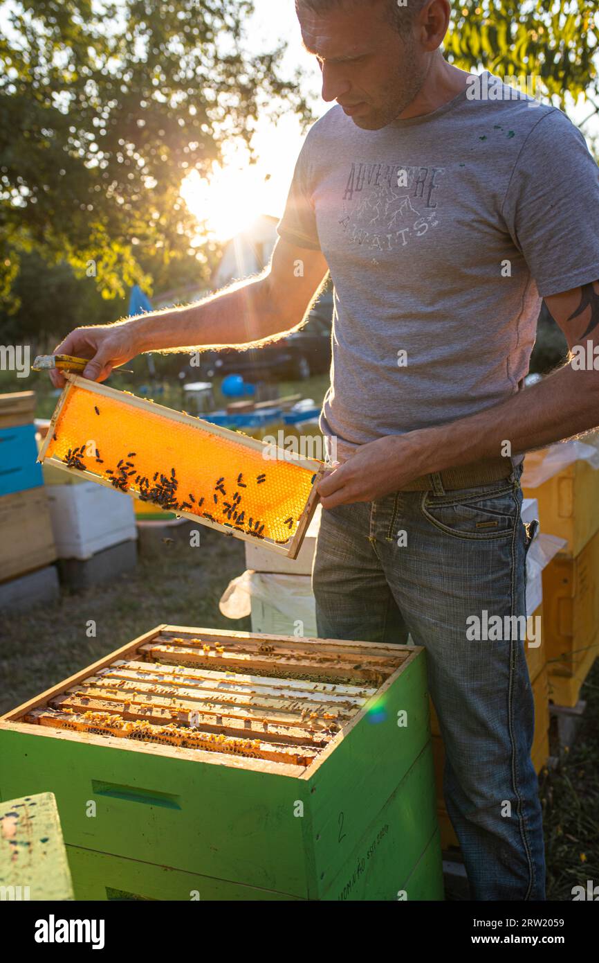 Less hexagonal hi-res stock photography and images - Alamy