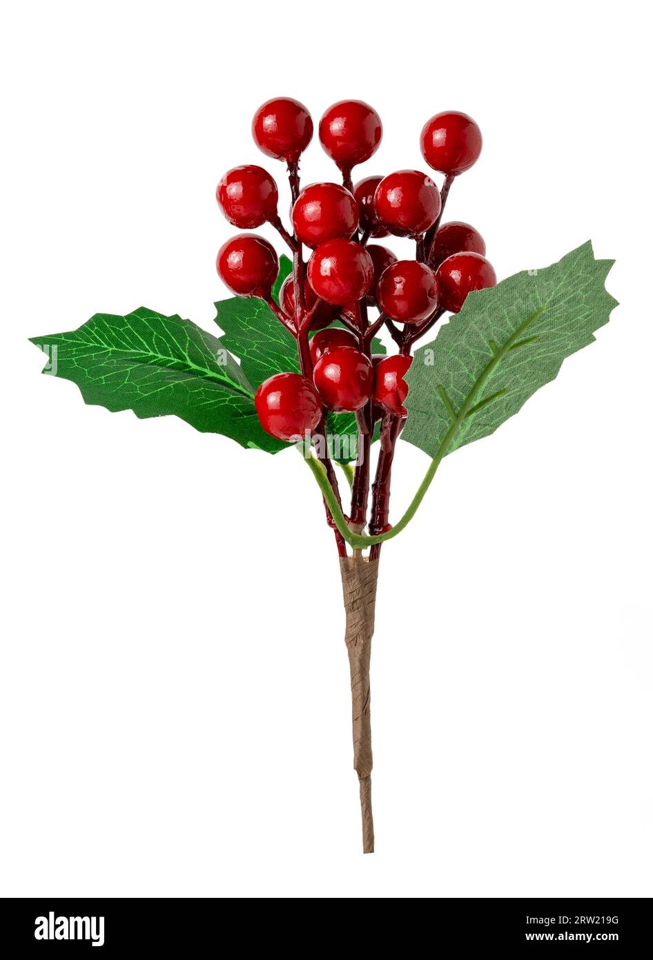 Holly leaf cut out hi-res stock photography and images - Alamy