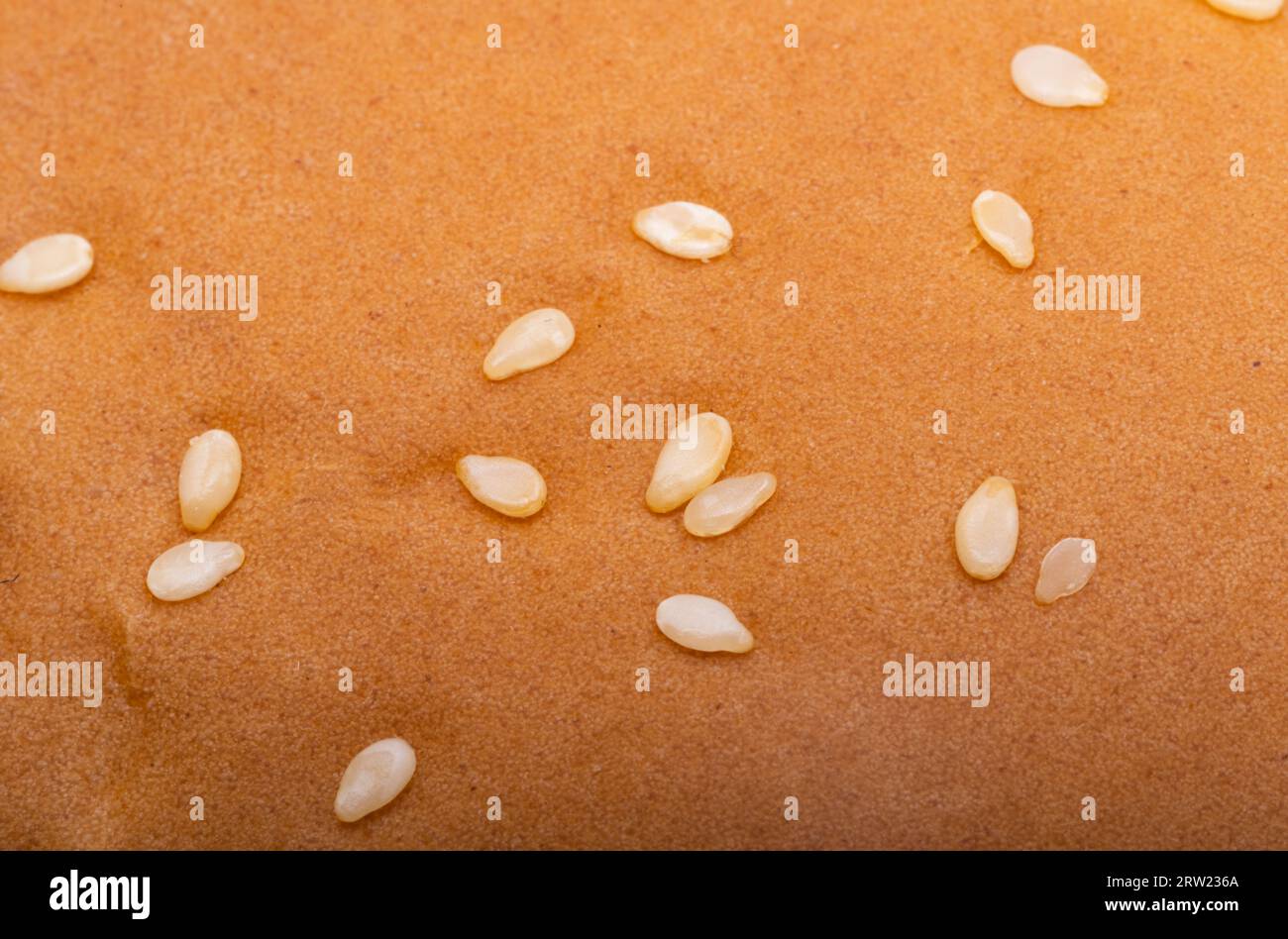 hamburger bun background with sesame macro Stock Photo - Alamy