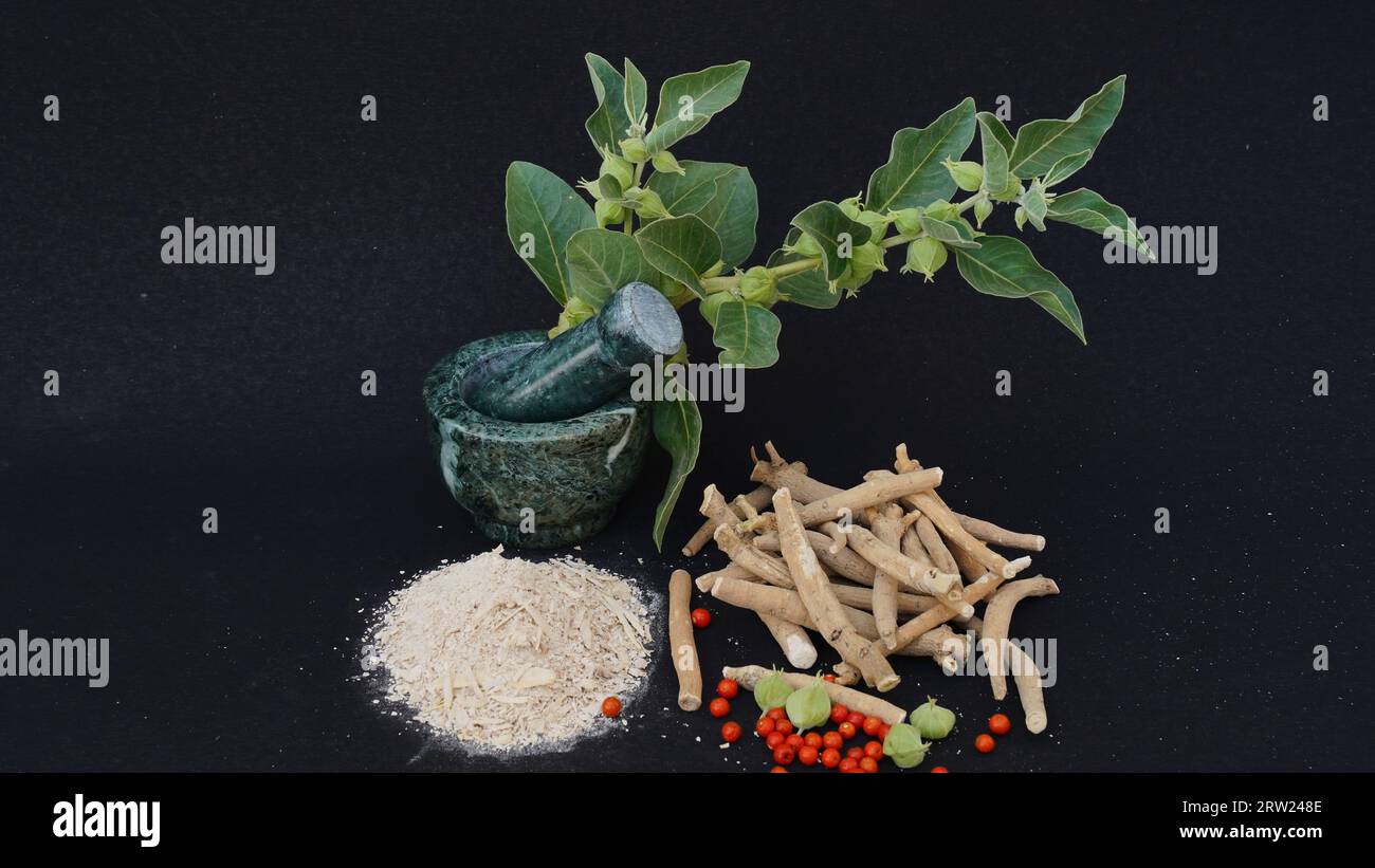 Indian roots hi-res stock photography and images - Alamy