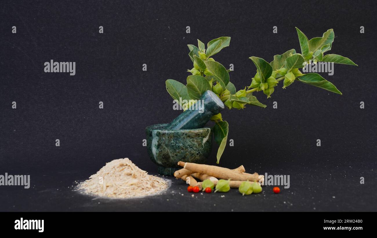 Indian roots hi-res stock photography and images - Alamy