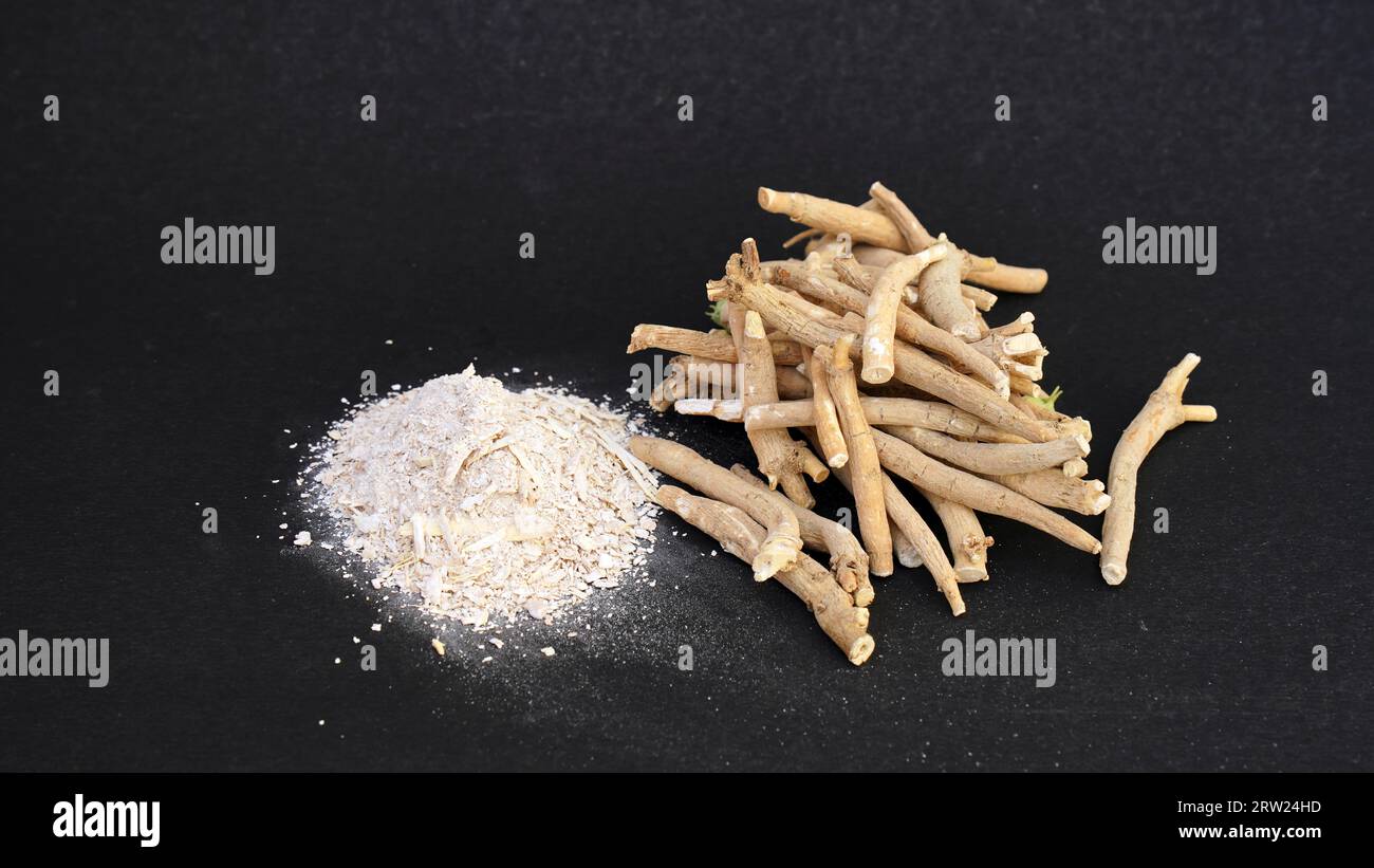 Ashwagandha Fresh Green Leaves on the Stem, Medicinal Herb Plant, also ...