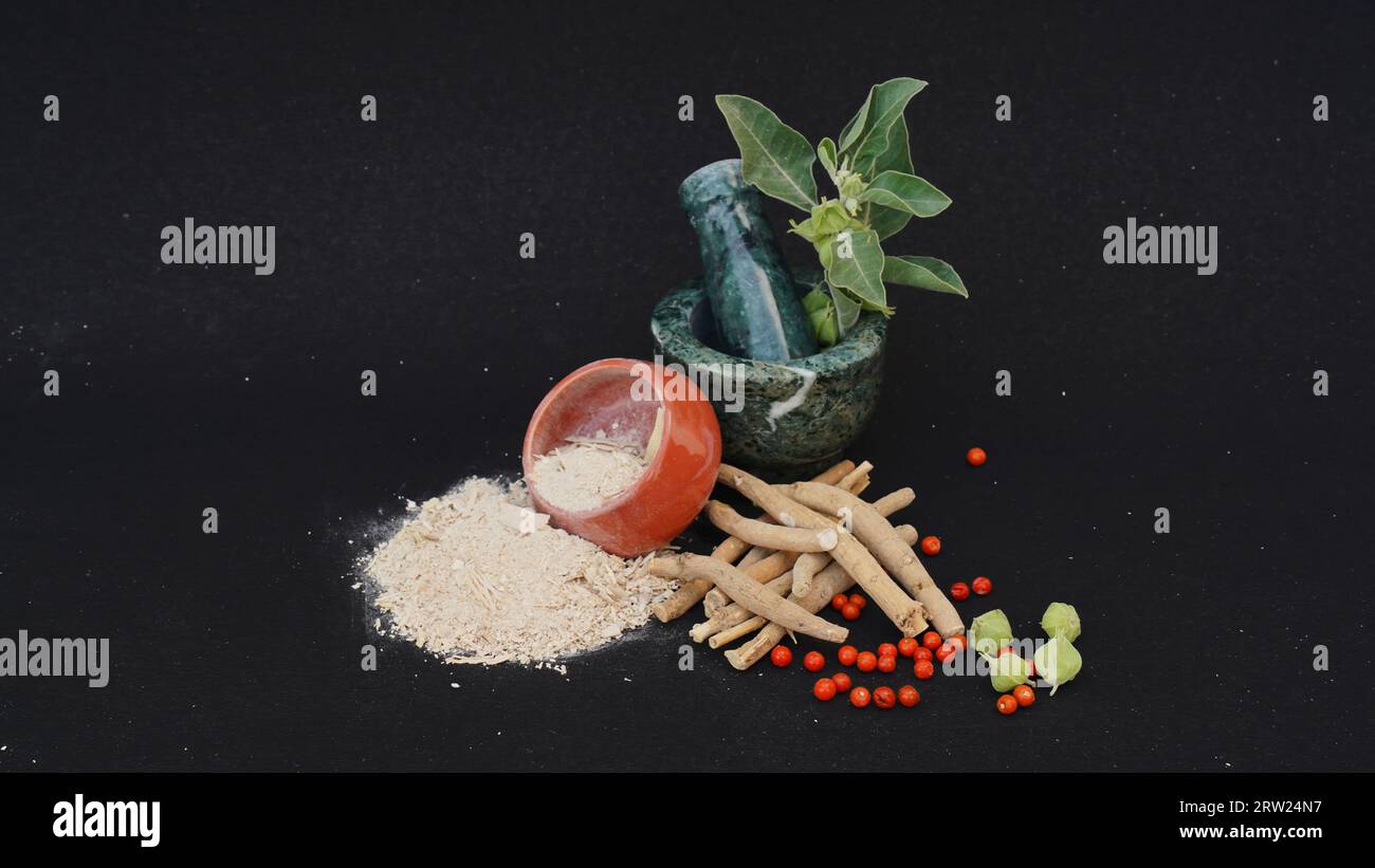 Immunity booster plant, Withania somnifera, known commonly as ...