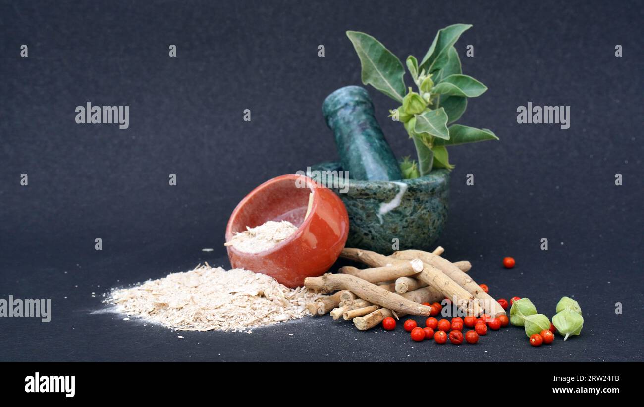 Ashwagandha Dry Root Medicinal Herb with Fresh Leaves, also known as ...