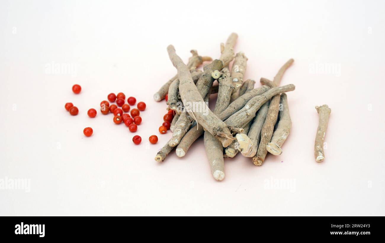 Ashwagandha Fresh Green Leaves on the Stem, Medicinal Herb Plant, also ...