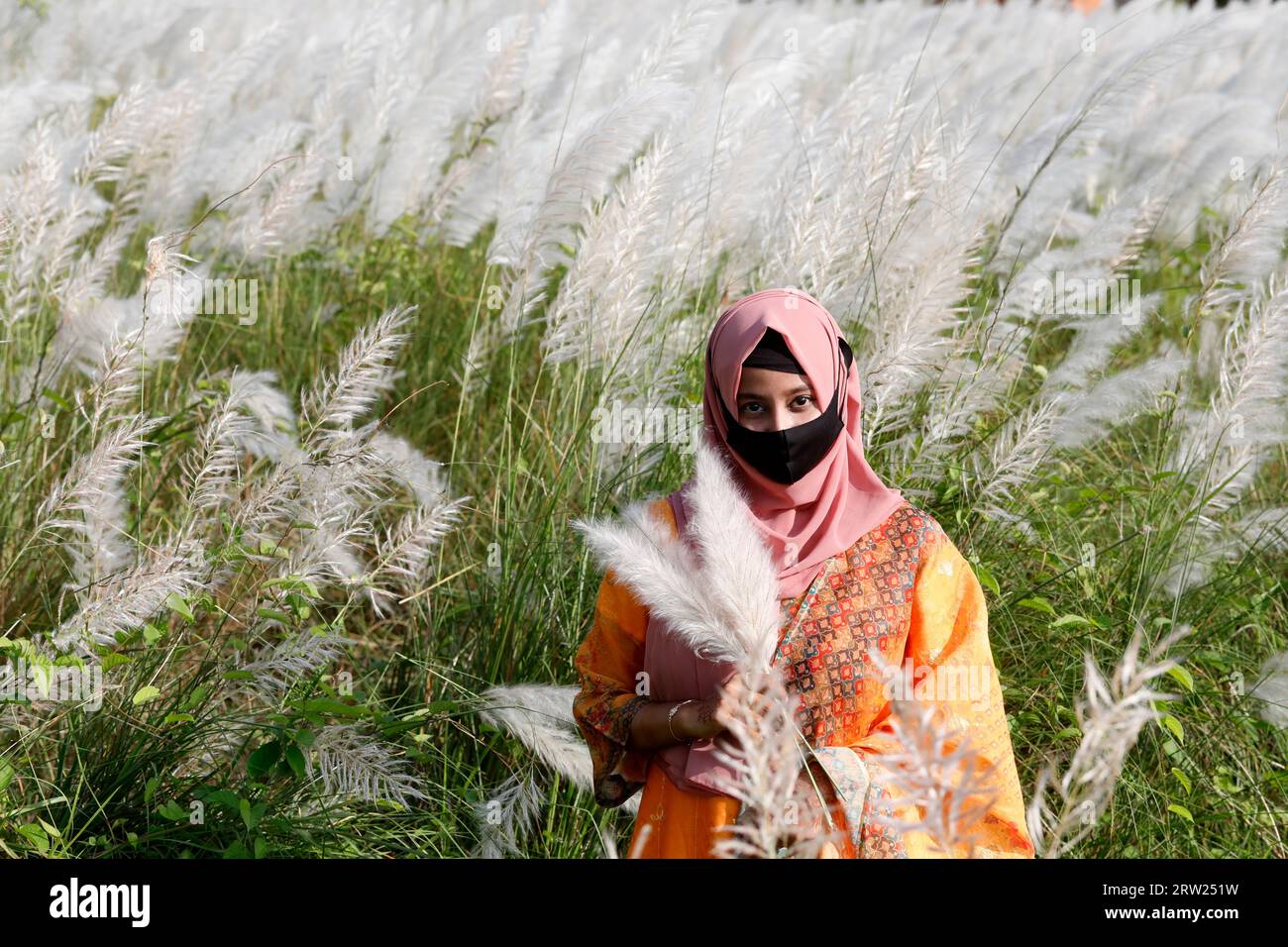 Dhaka, Bangladesh - September 16, 2023: Bangladesh girl with Kash ...