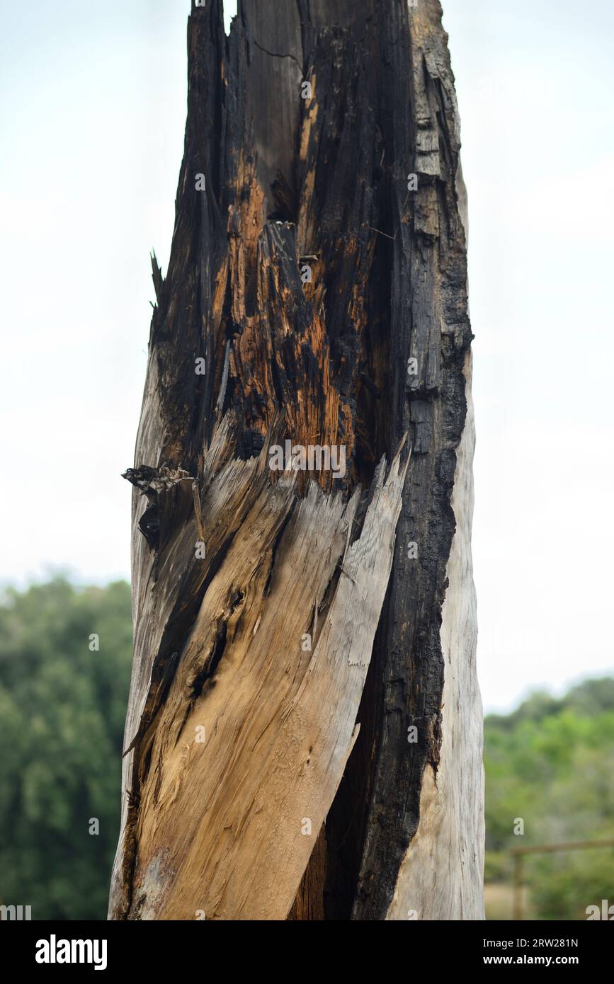 Lightning stricken hi-res stock photography and images - Alamy