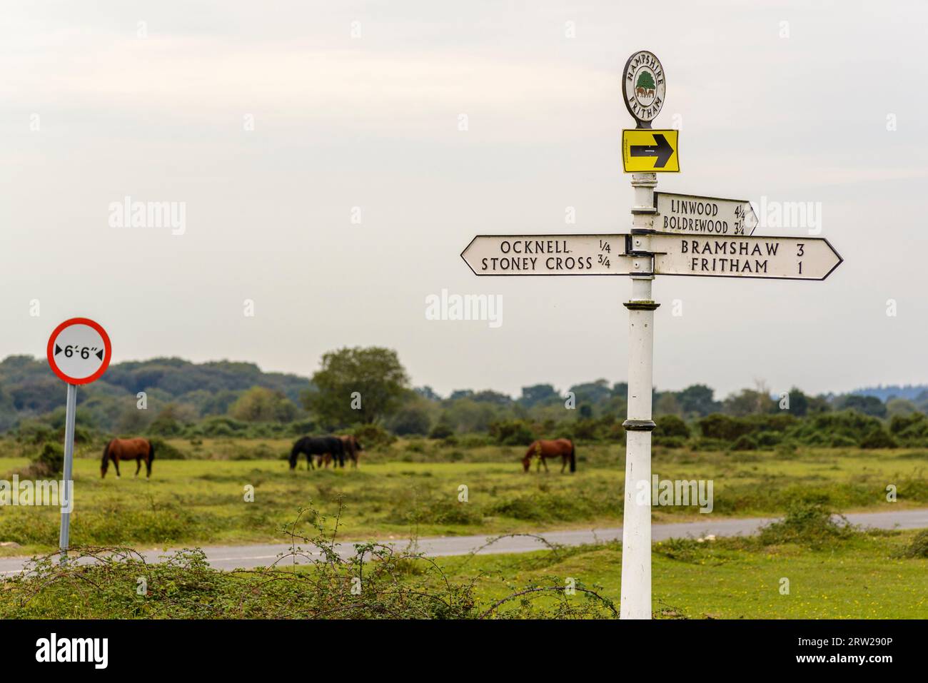 Signpost and narrow road traffic sign, New Forest, Hampshire, UK Stock ...