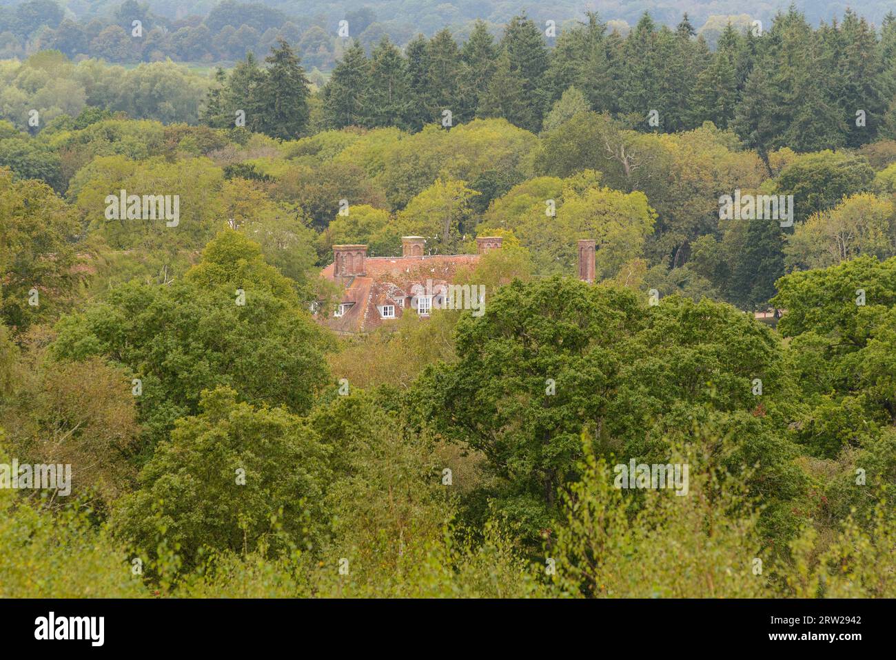 Moyles Court day and boarding school nestled among trees in the New ...