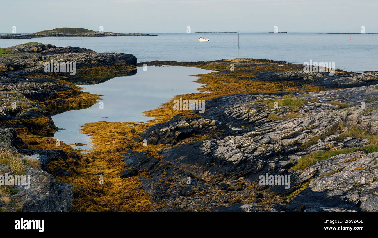Tidepool and exposed sea weed during low tide at Askvaagen (Hustadvika ...