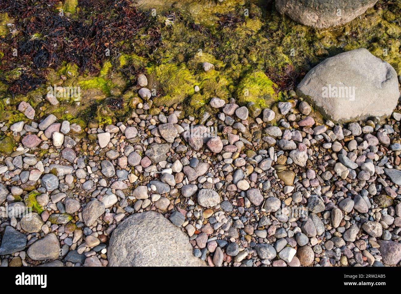 sand beach textured abstract with rocks and wooden sticks Stock Photo ...