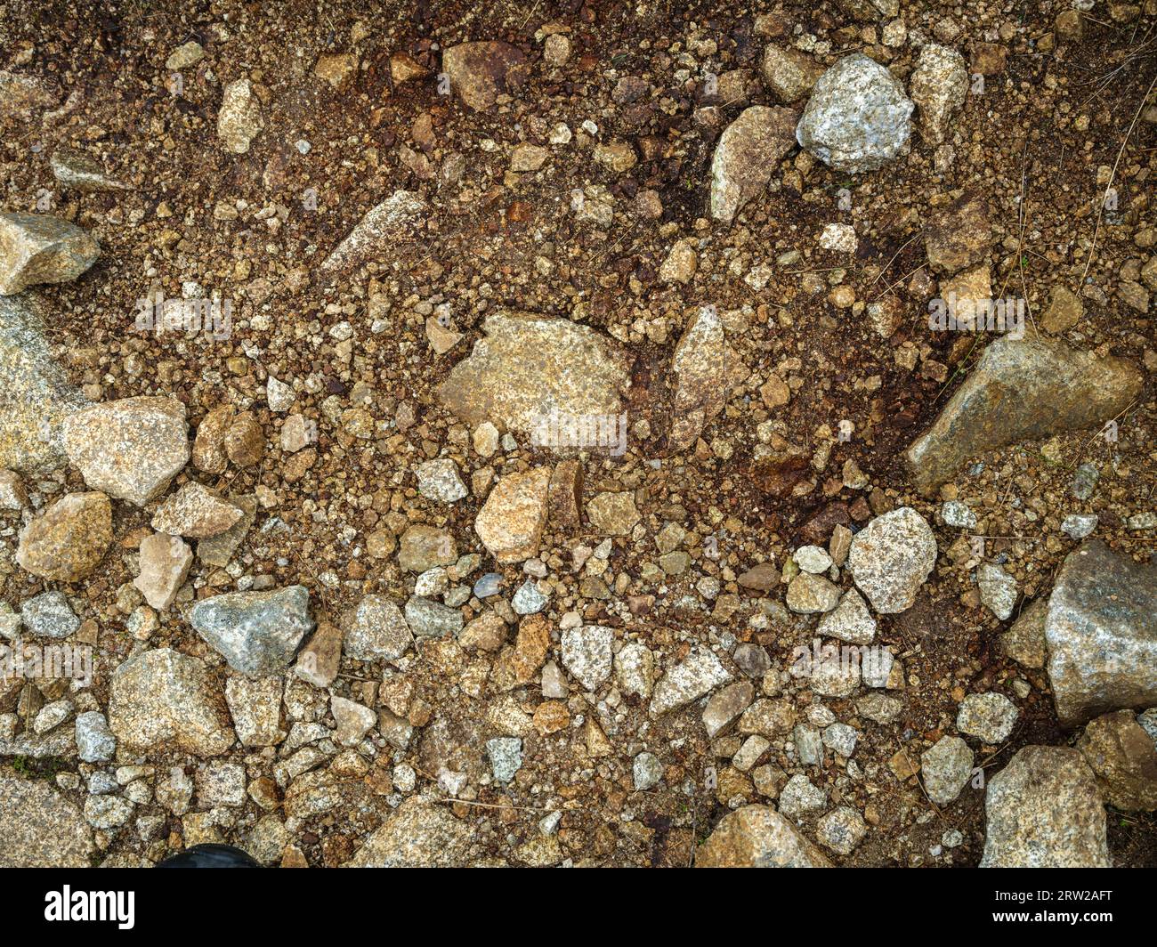 sand beach textured abstract with rocks and wooden sticks Stock Photo ...