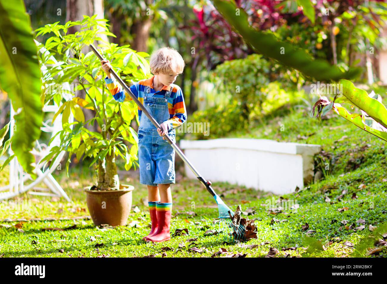 Little rake hi-res stock photography and images - Alamy
