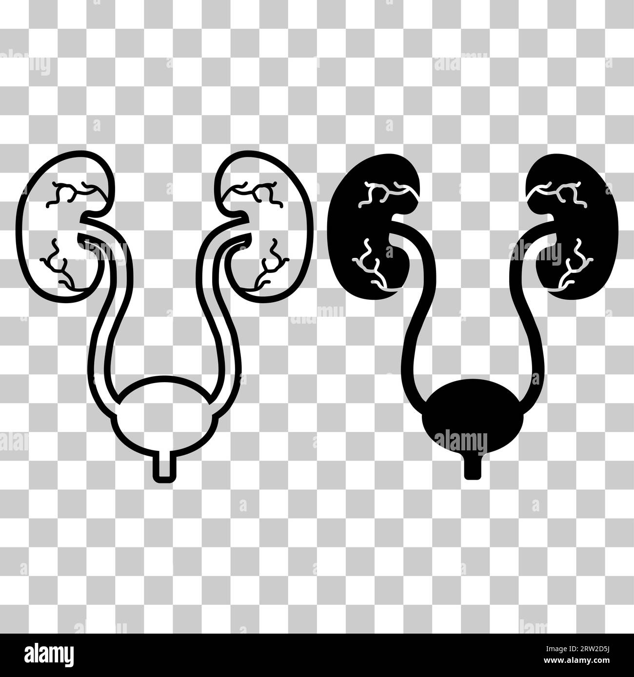 Set of Urology health human icon, anatomy medical body bladder sign ...