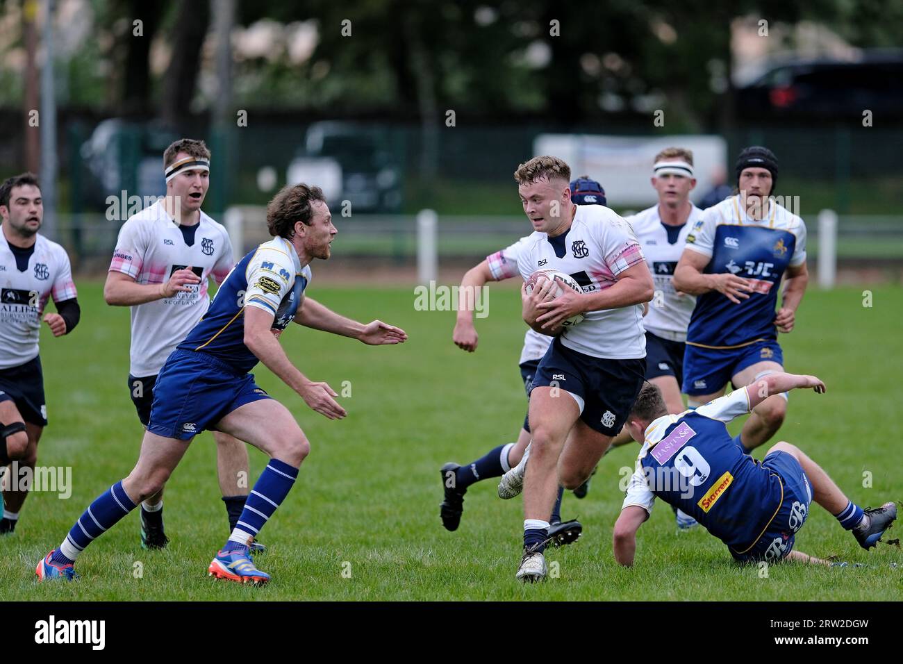 Selkirk, UK. 16th Sep, 2023. SELKIRK, Saturday 16 September 2023 ...