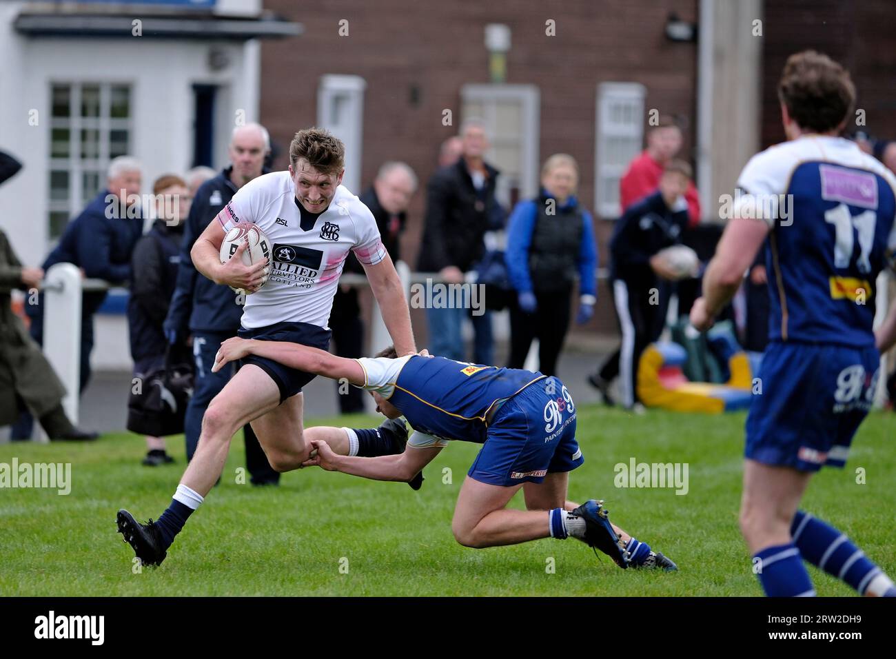 Jedforest hi-res stock photography and images - Alamy