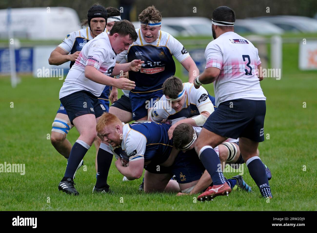 Selkirk, UK. 16th Sep, 2023. SELKIRK, Saturday 16 September 2023 ...