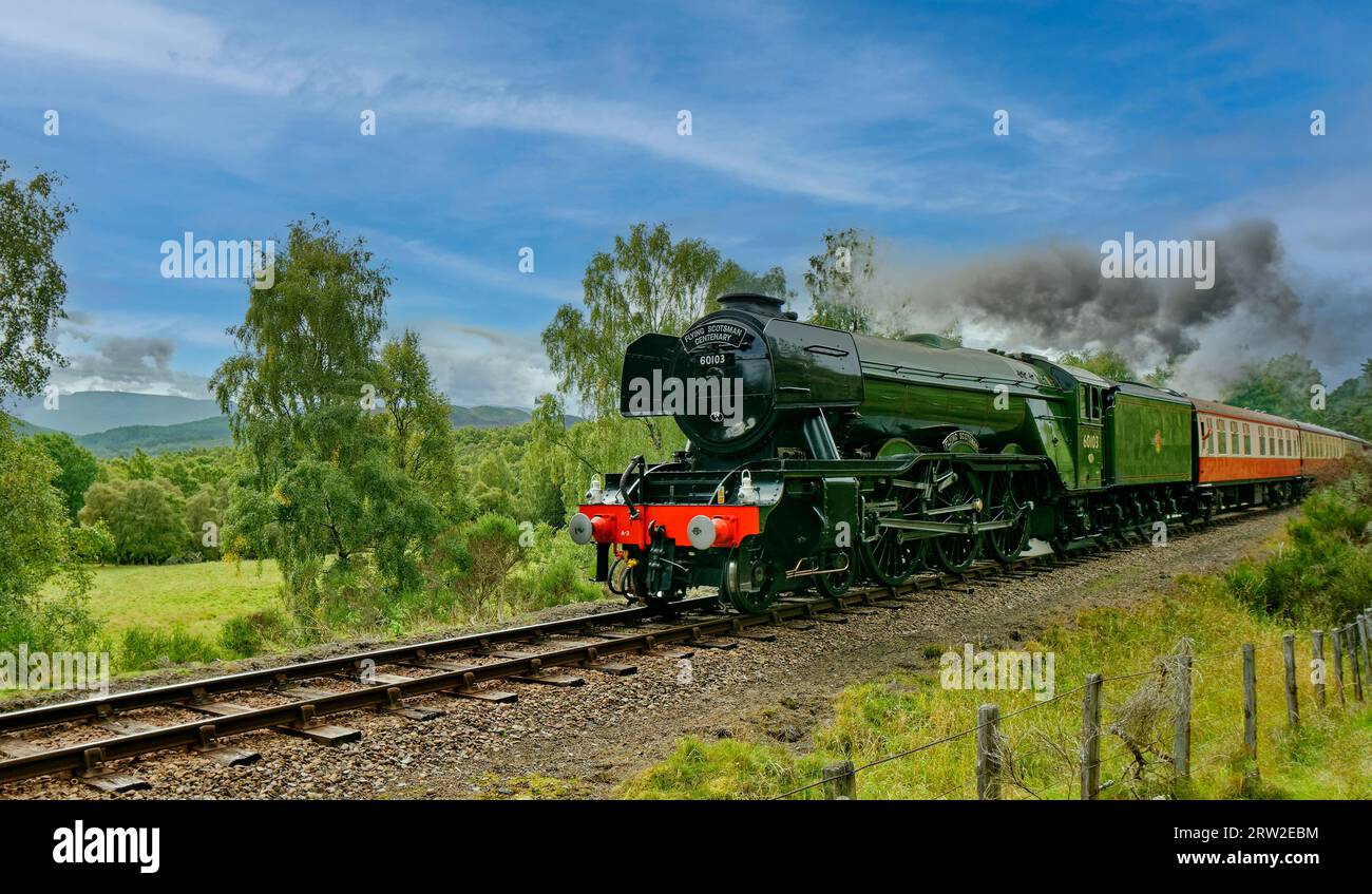 Flying Scotsman Steam Train en route to Boat of Garten the Cairngorm ...