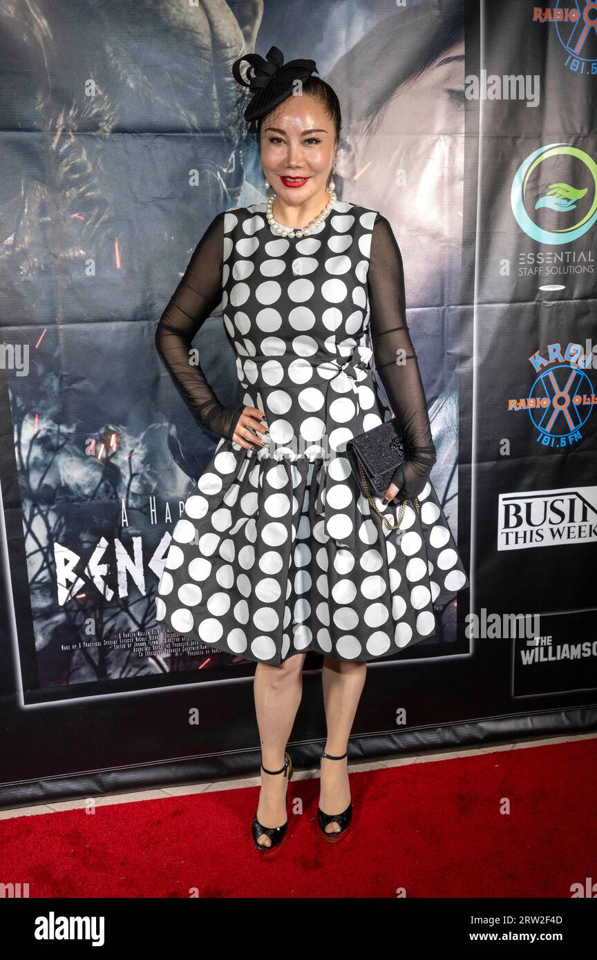 Libo Li bei der Premiere des Kinofilms 'Beneath Us All' im Laemmle Town ...